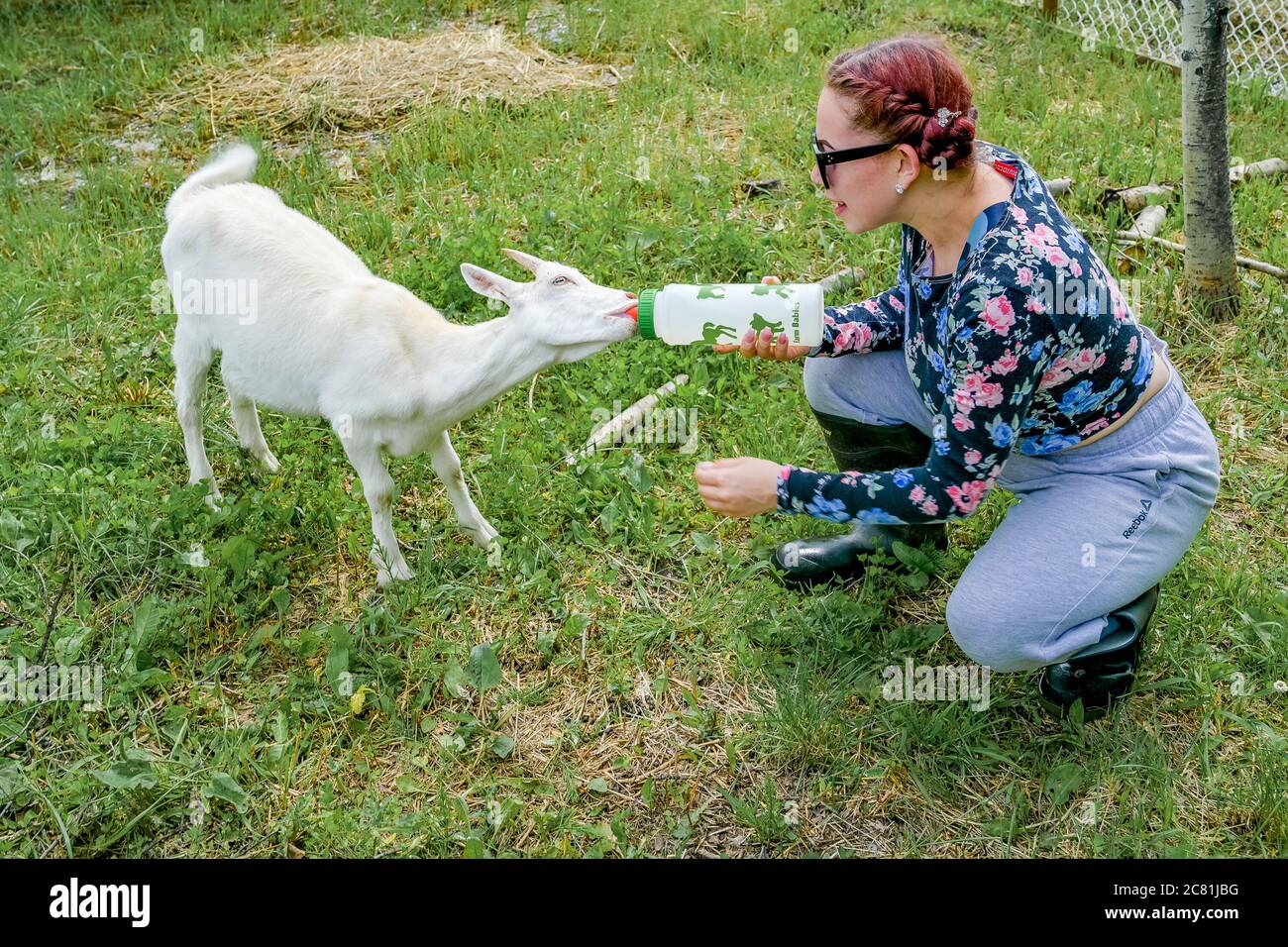 Young woman bottle feeding goat Stock Photo - Alamy