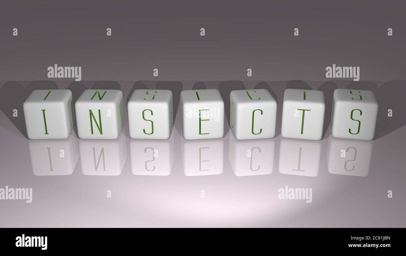 alphabetic Insects arranged by cubic letters on a mirror floor, concept ...