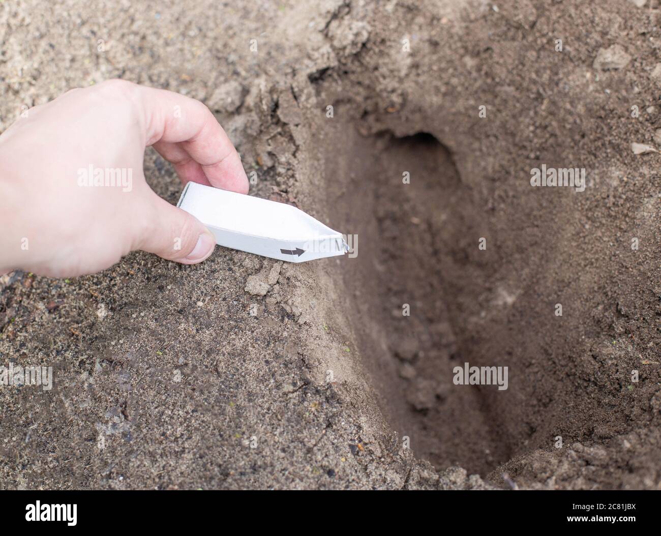 Common mole rat hi-res stock photography and images - Alamy