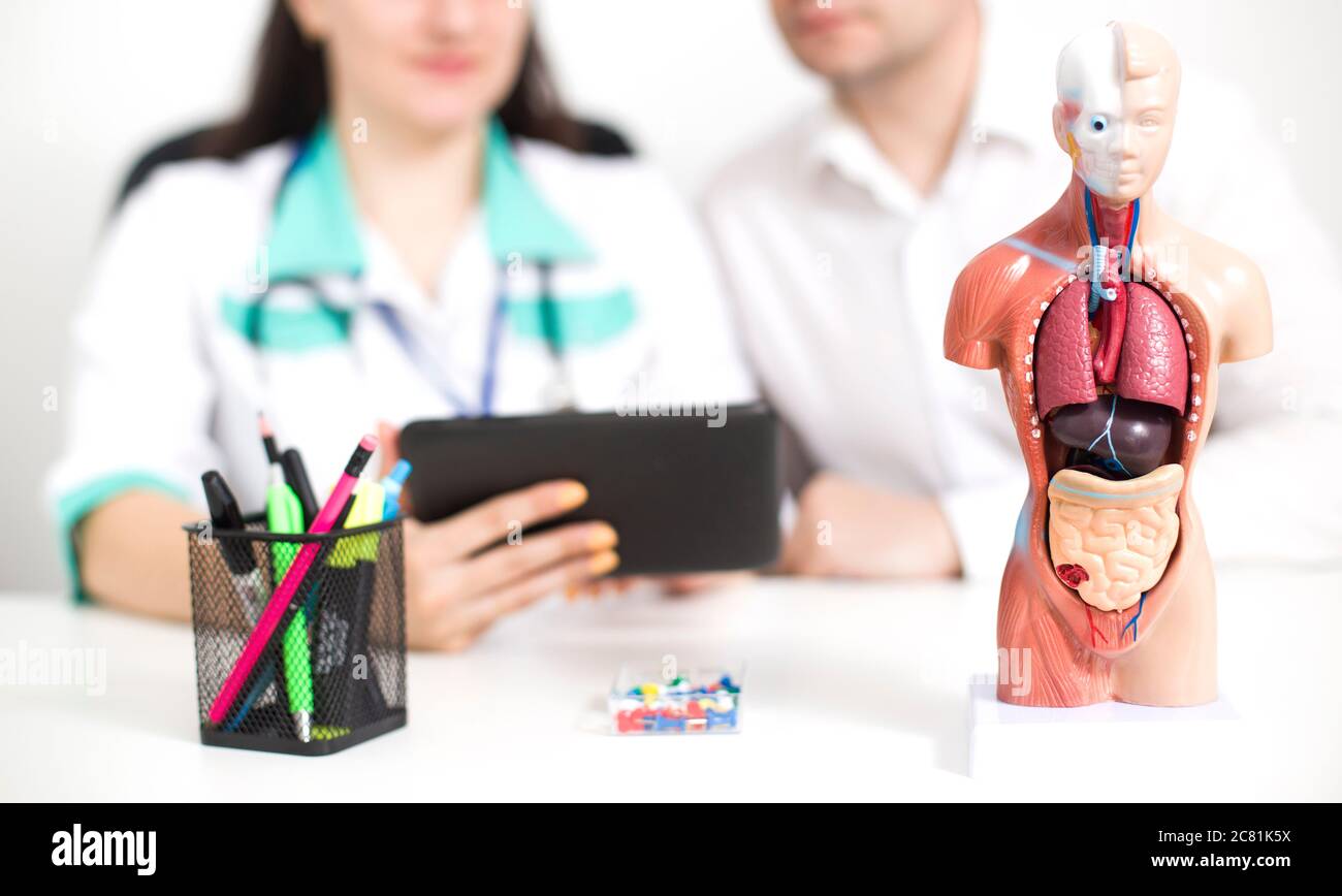 Endocrine organs hi-res stock photography and images - Alamy
