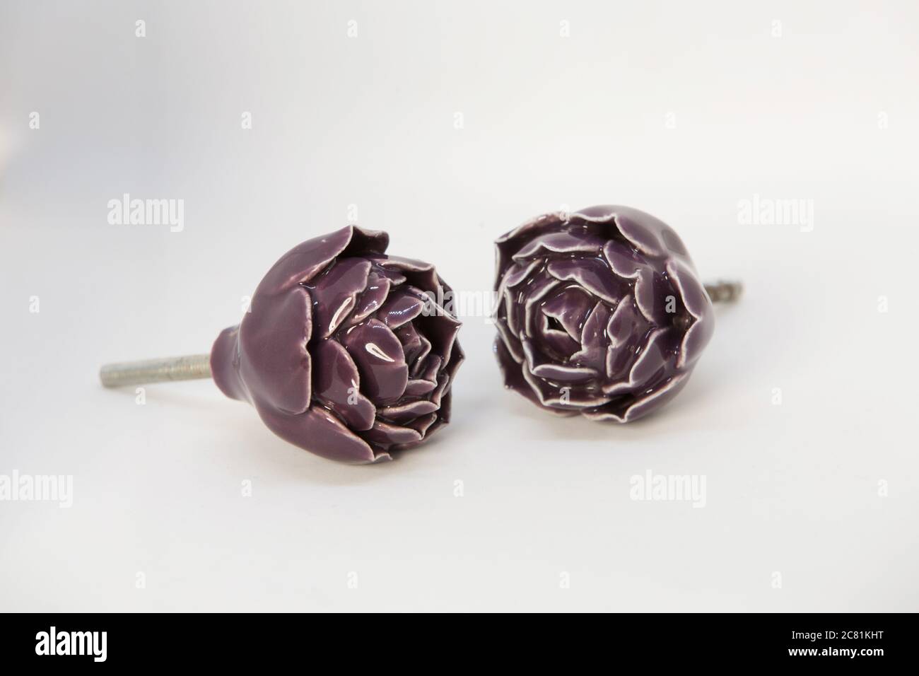 Pair of knobs with the rose shape isolated on a white background Stock ...