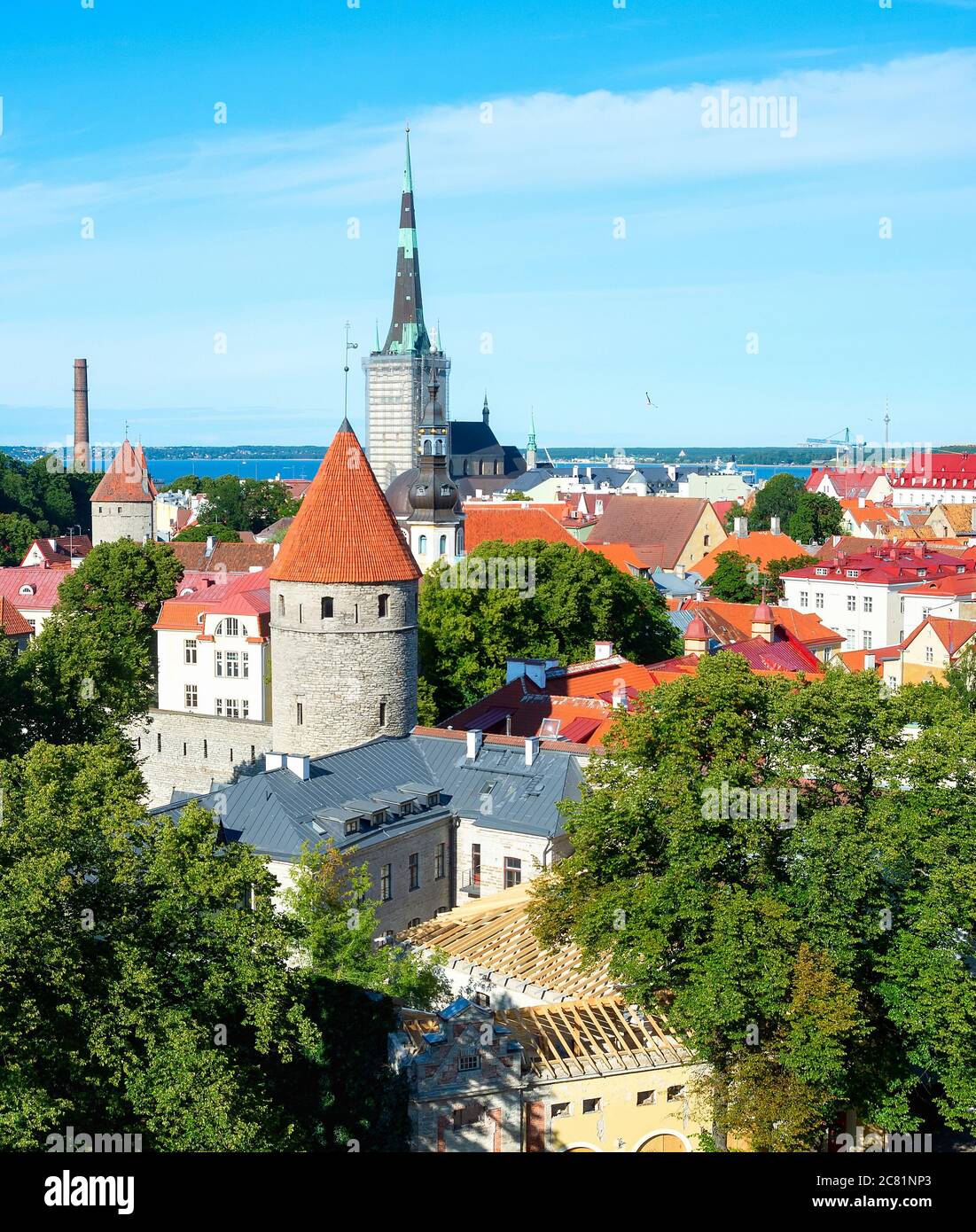 Aerial cityscape of Tallinn old town with medivel architecture in green ...