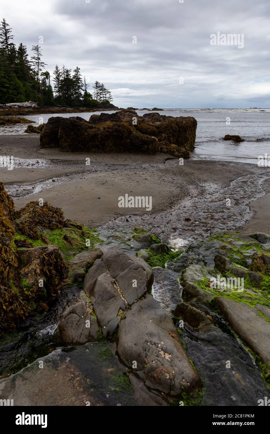 Raft cove provincial park hi-res stock photography and images - Alamy