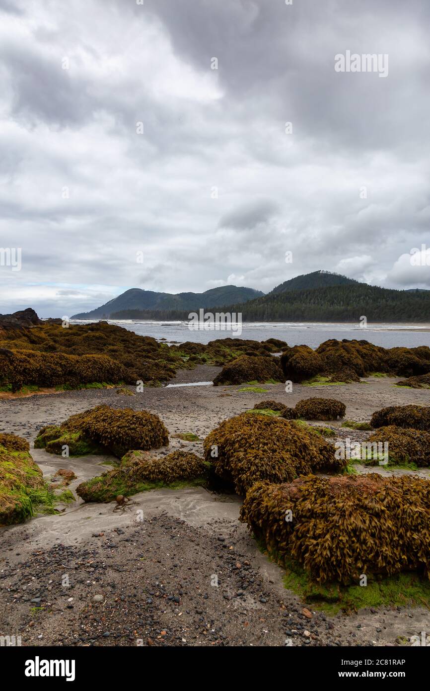 Raft Cove, British Columbia, Canada Stock Photo - Alamy