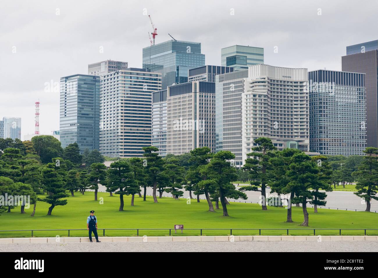 Tokyo cityscape viewed from the Imperial Palace grounds; Tokyo, Kanto ...
