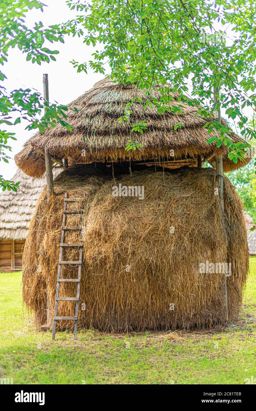 Haystack in the countryside. Hay making Stock Photo - Alamy