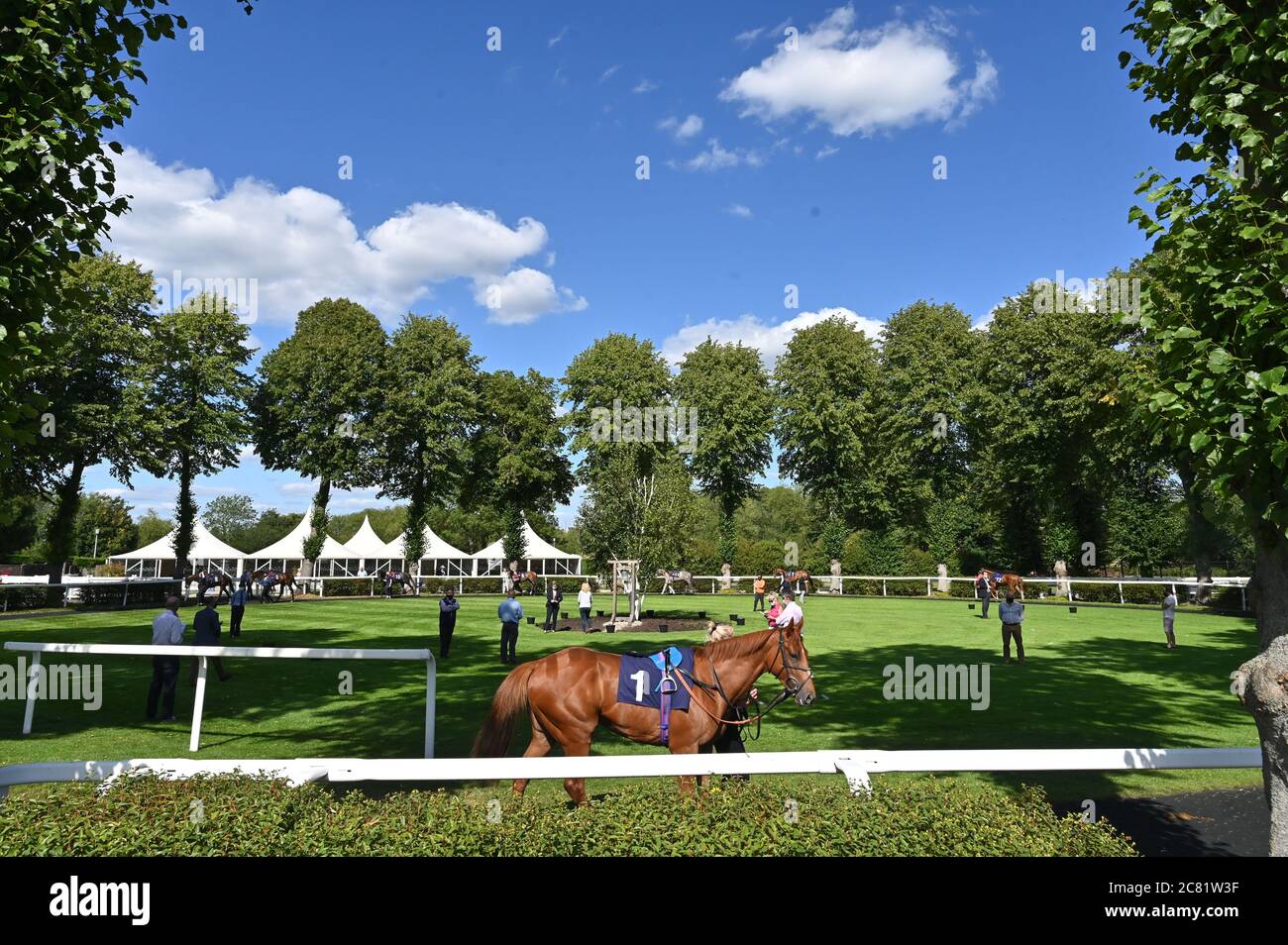 Horses in the parade ring before the first race at Windsor Racecourse ...