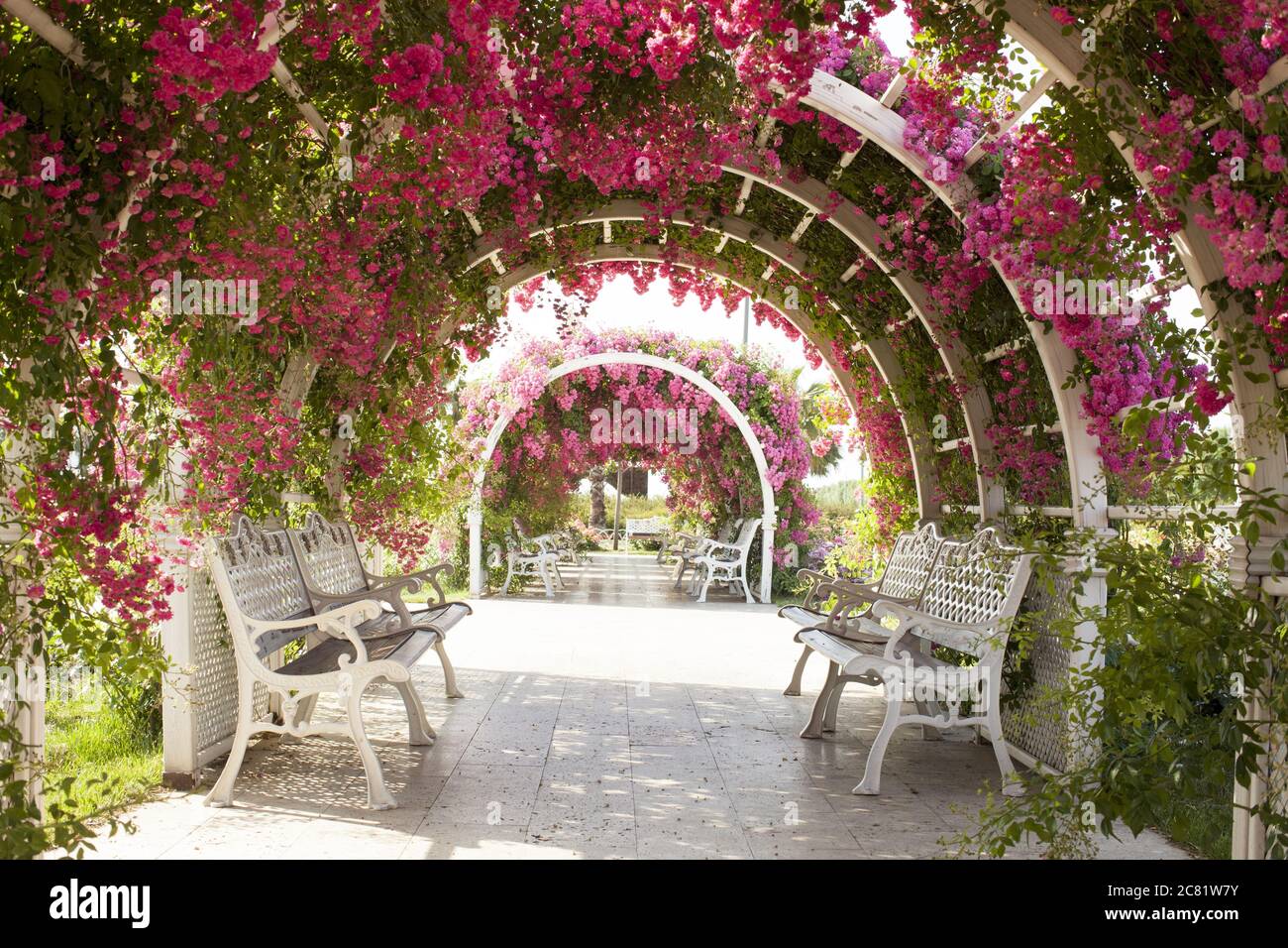 Arch of roses hi-res stock photography and images - Alamy
