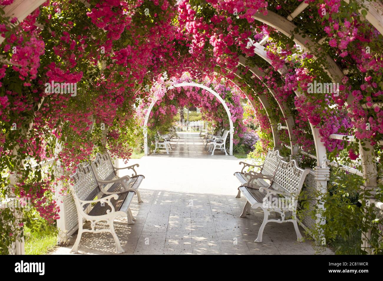 Arch of roses hi-res stock photography and images - Alamy