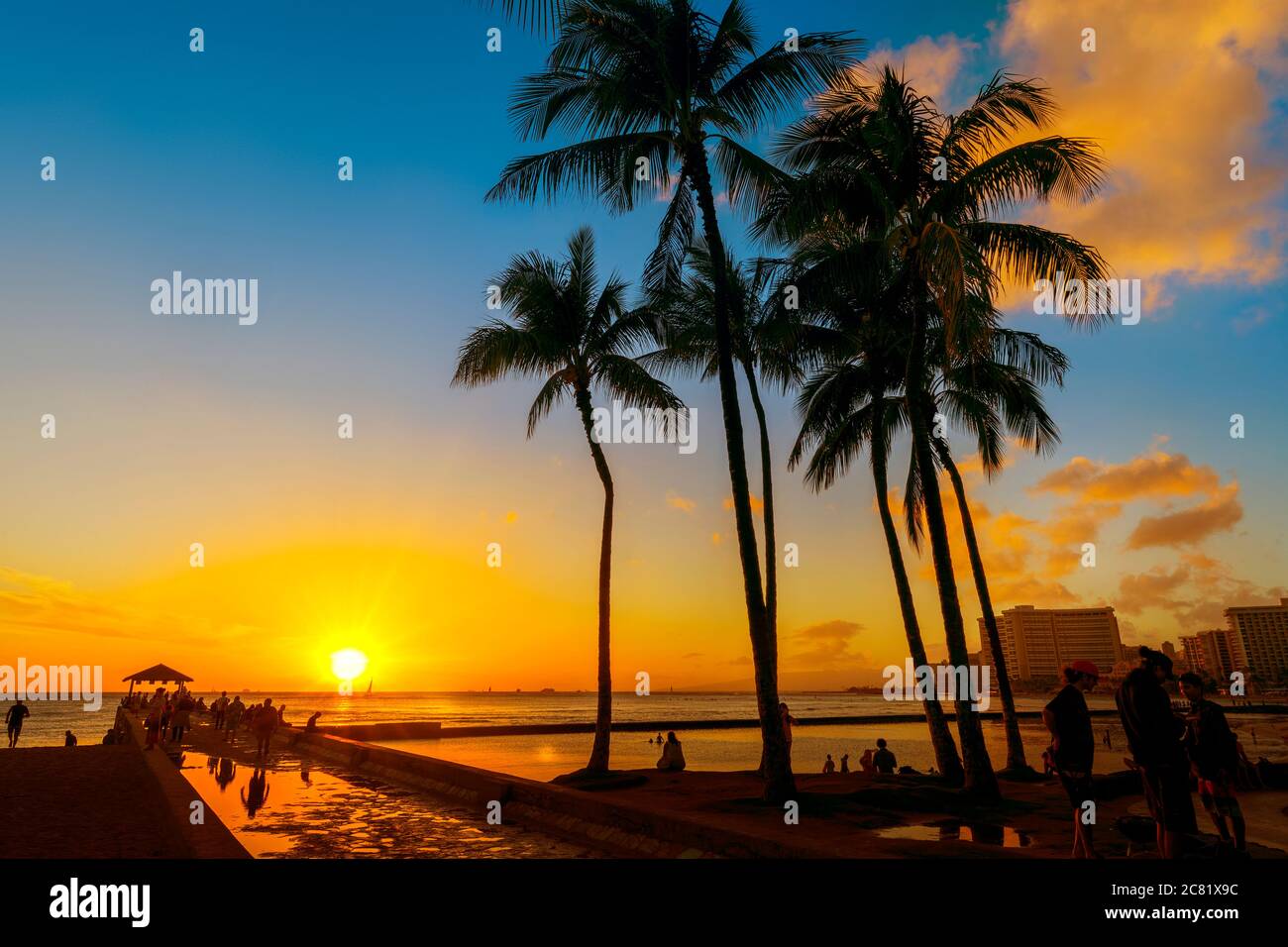 Golden tree honolulu hawaii hi-res stock photography and images - Alamy