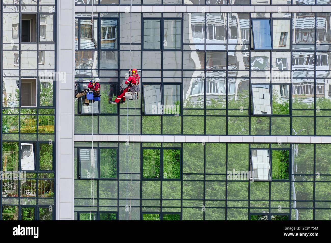 Two industrial climbers from the cleaning service wash the glass facade ...