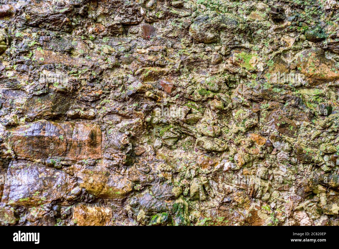 Chipped stone hi-res stock photography and images - Alamy