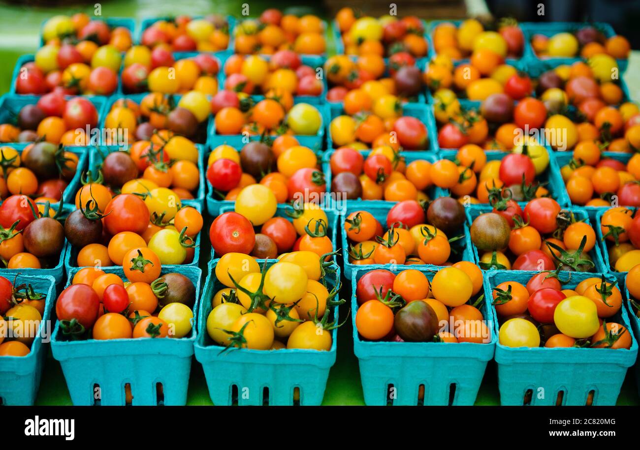 multi colored tomatoes for sale at a farmers market Stock Photo - Alamy