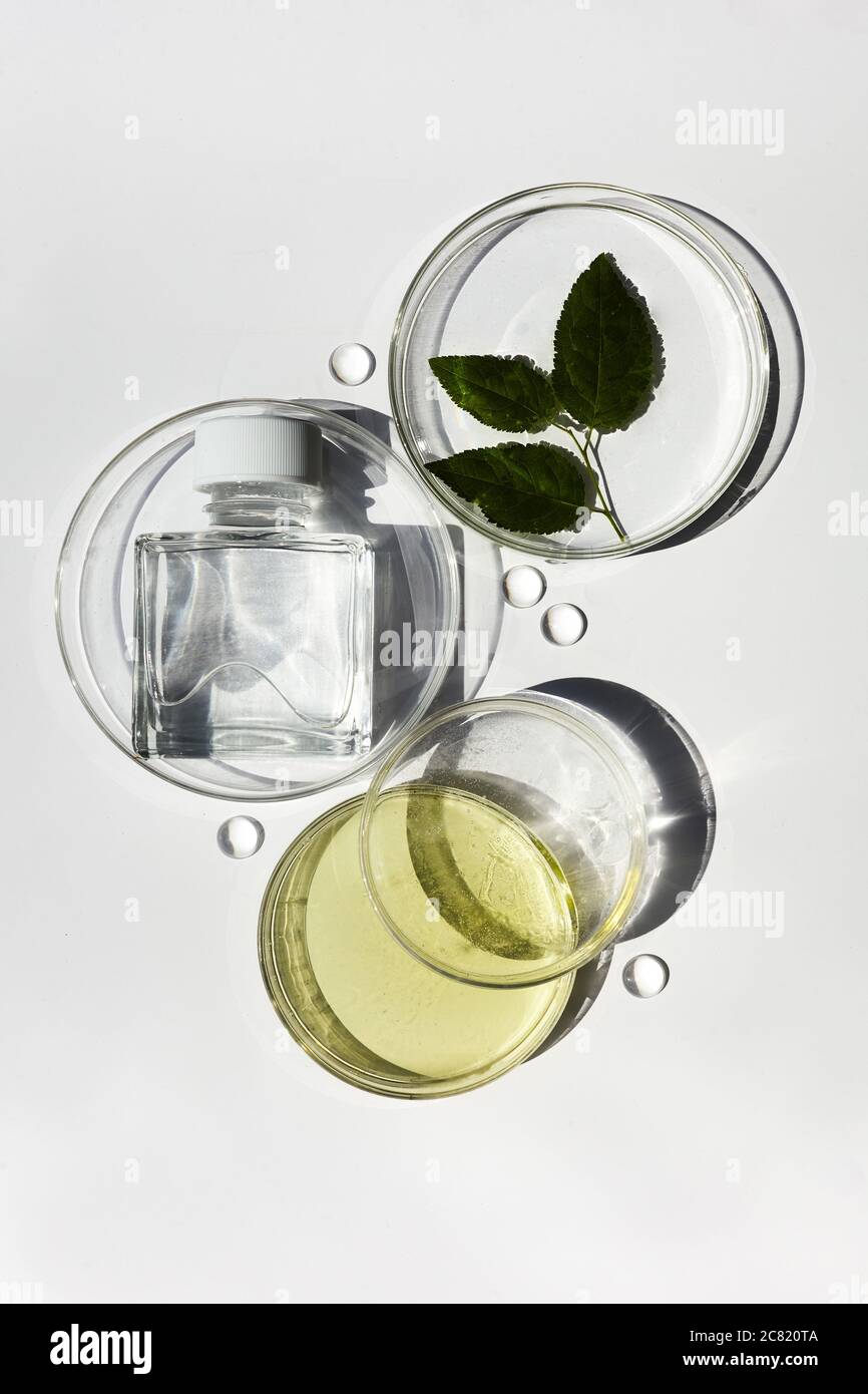 Abstract cosmetic laboratory. Chemical laboratory research. Nature ...