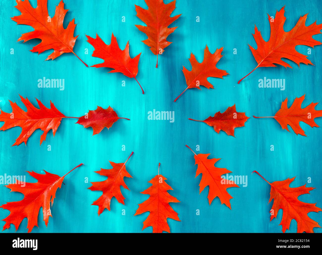 Oak leaves pattern hi-res stock photography and images - Alamy