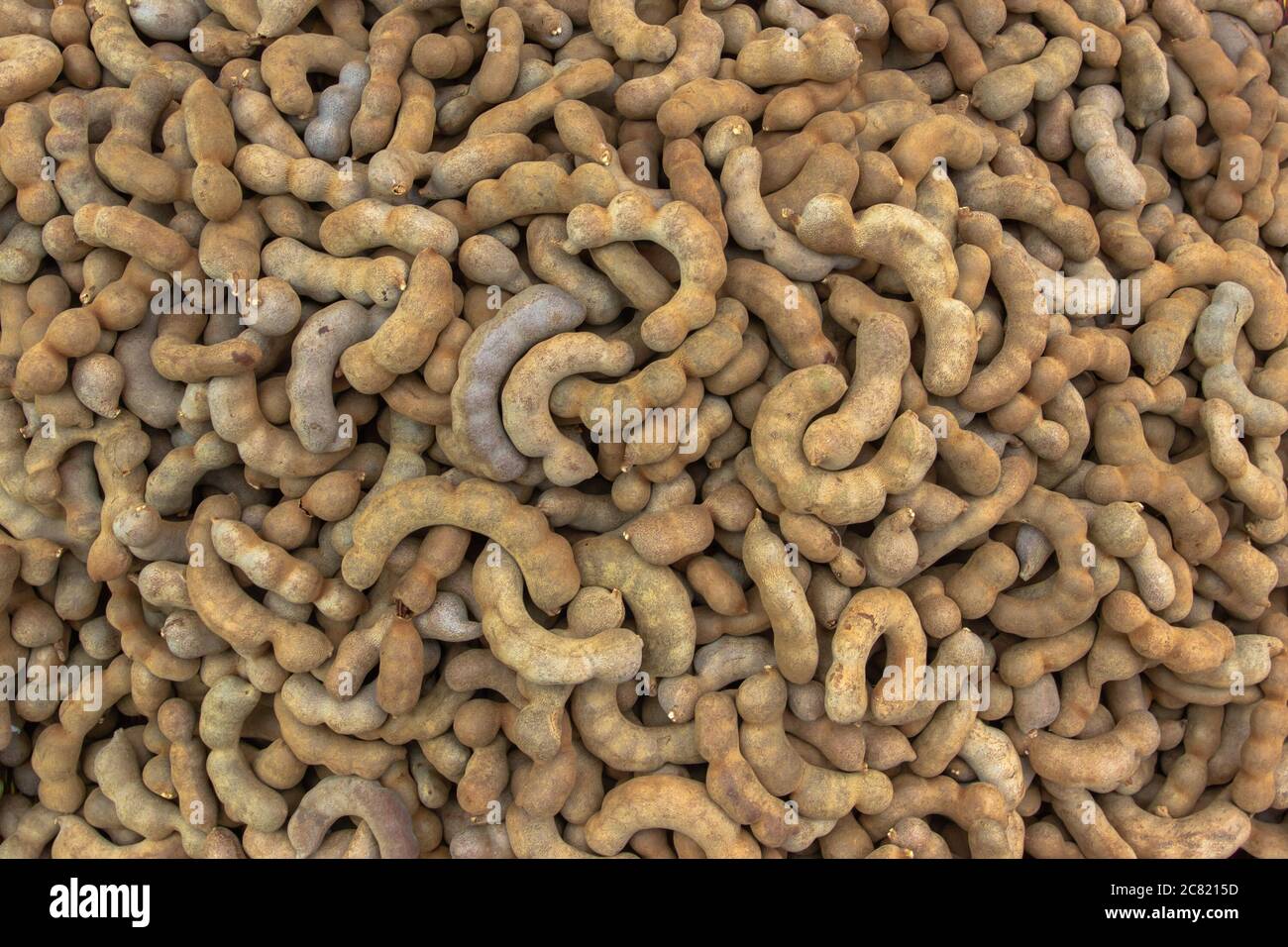 Top view of Tamarind fruits. Sweet ripe of tamarinds. Fresh organic ...