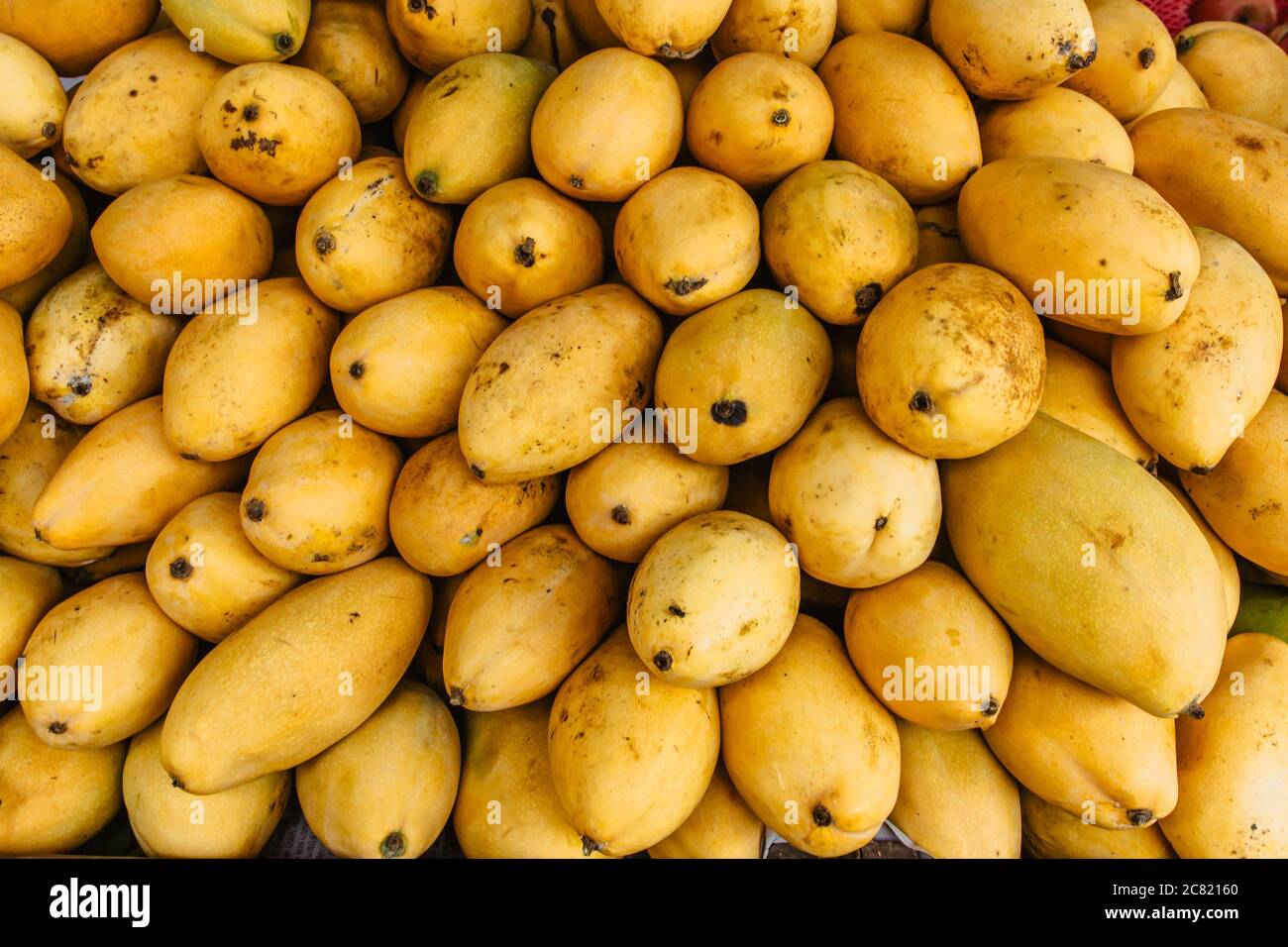 Group of sweet yellow mangos. Tropical fruit. Fresh juicy mangos. Fruit ...