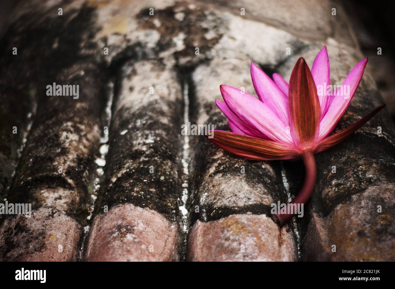 Asia lotus sculpture hi-res stock photography and images - Alamy