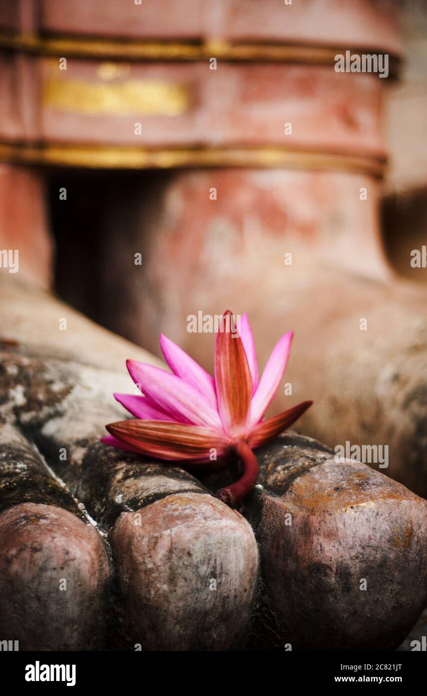 Asia lotus sculpture hi-res stock photography and images - Alamy