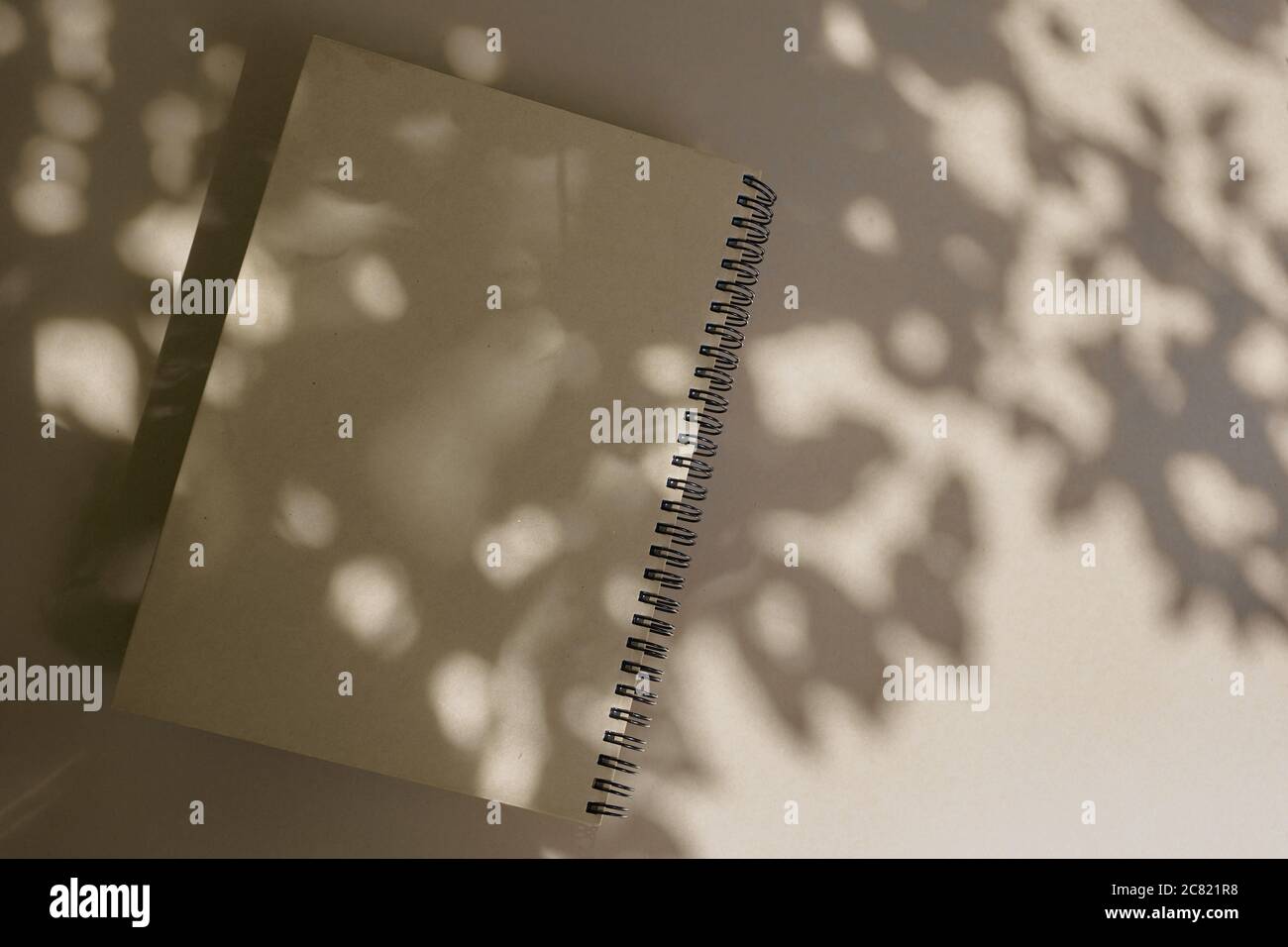 Dairy book with plant shadows. Holiday composition. Daily planner Stock ...