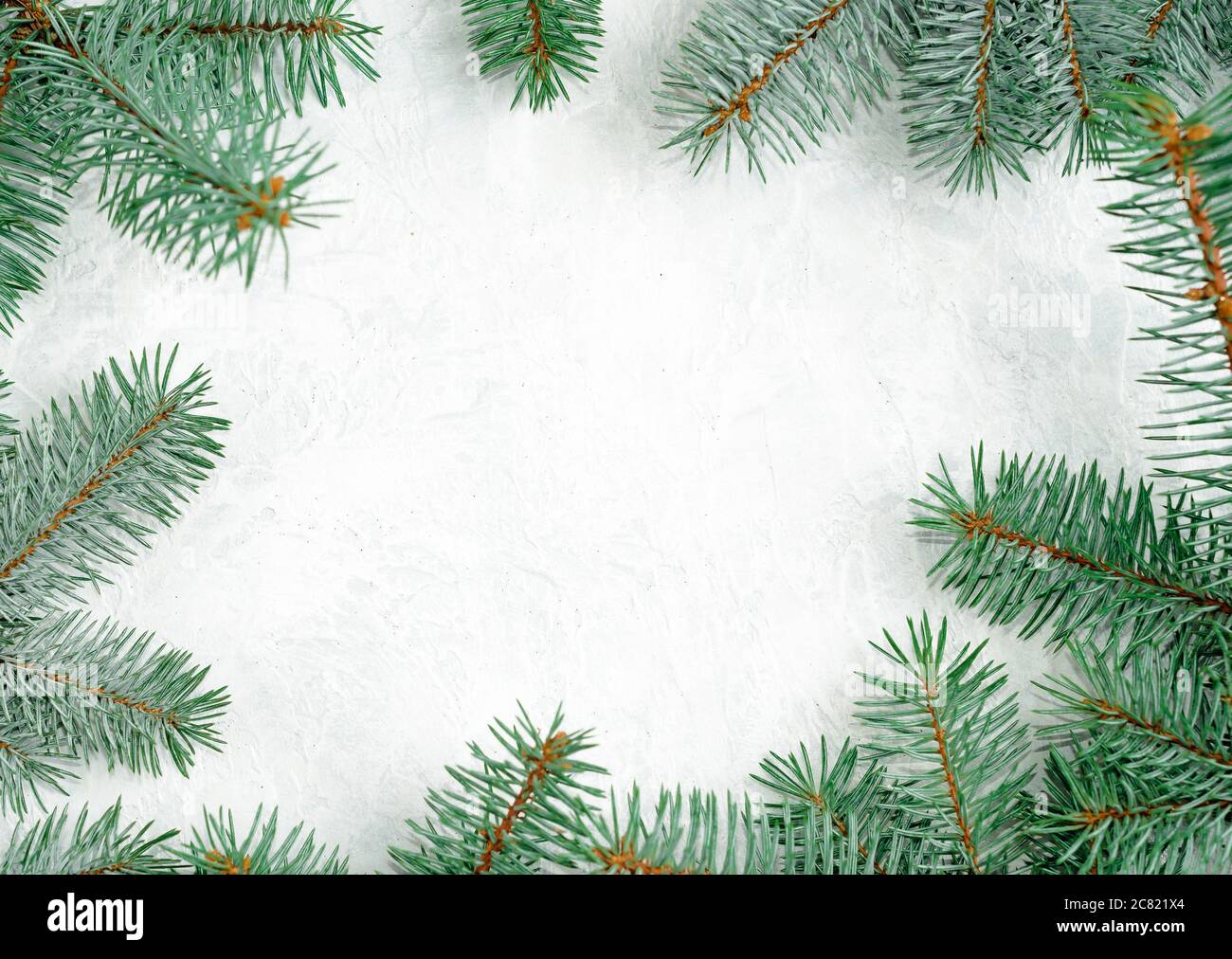 Christmas frame made of branches of a New Year tree. Christmas ...