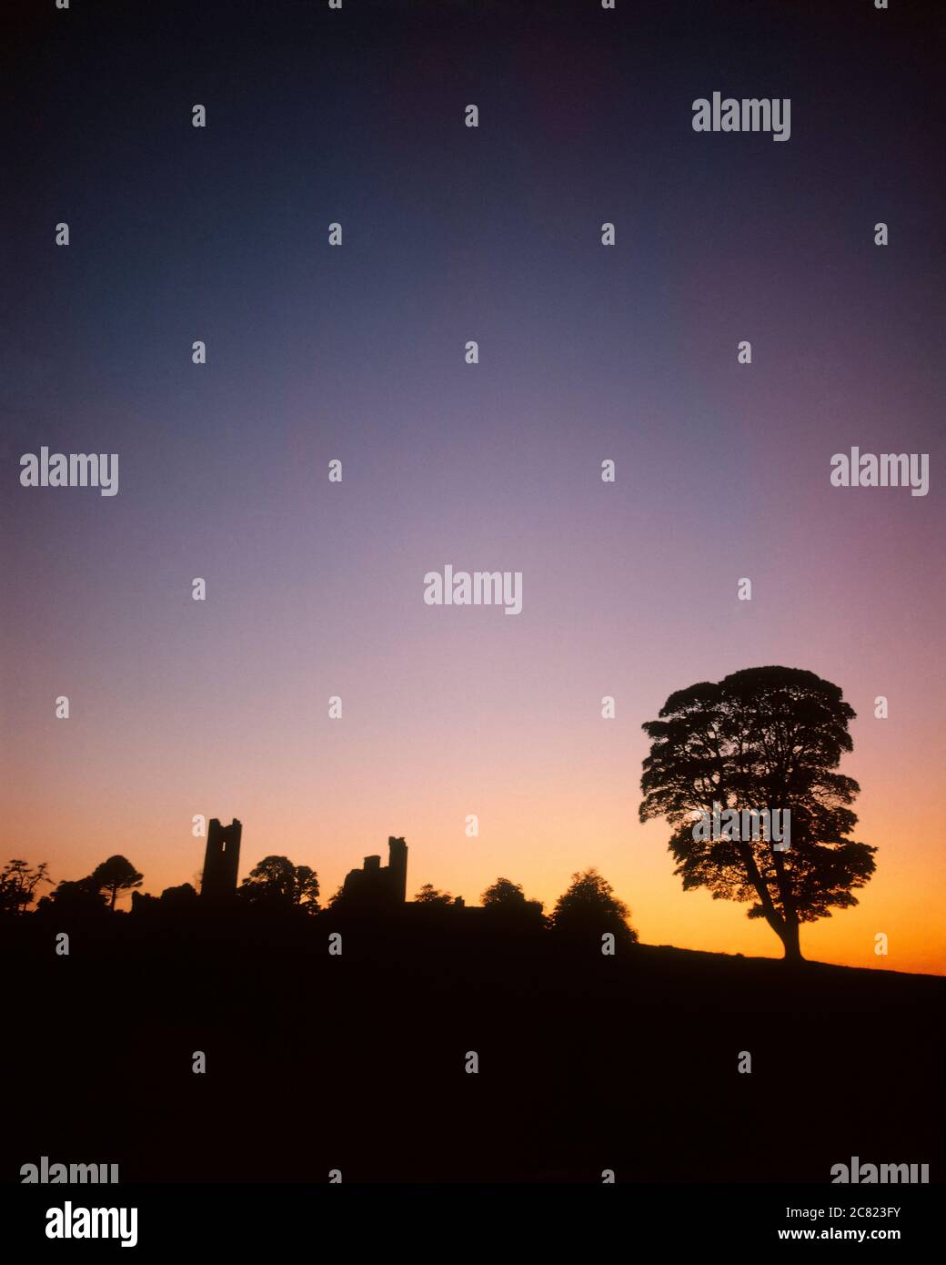 Slane Monastery,Co Meath,Ireland; Silhouette Of Slane Monastery,Founded ...