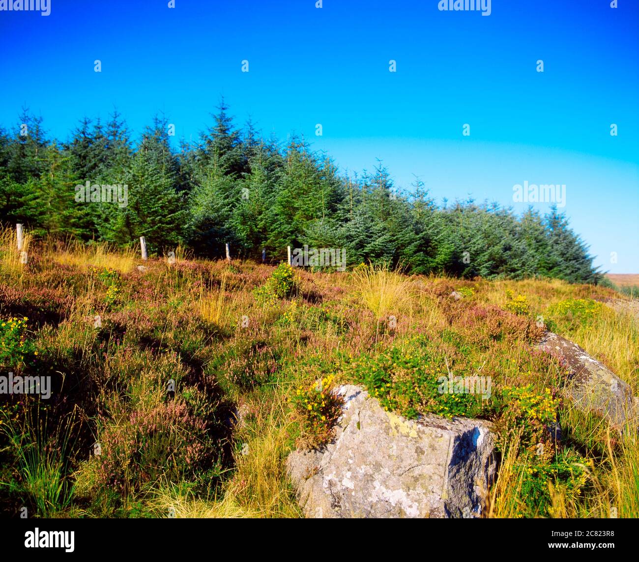 Gapco hi-res stock photography and images - Alamy