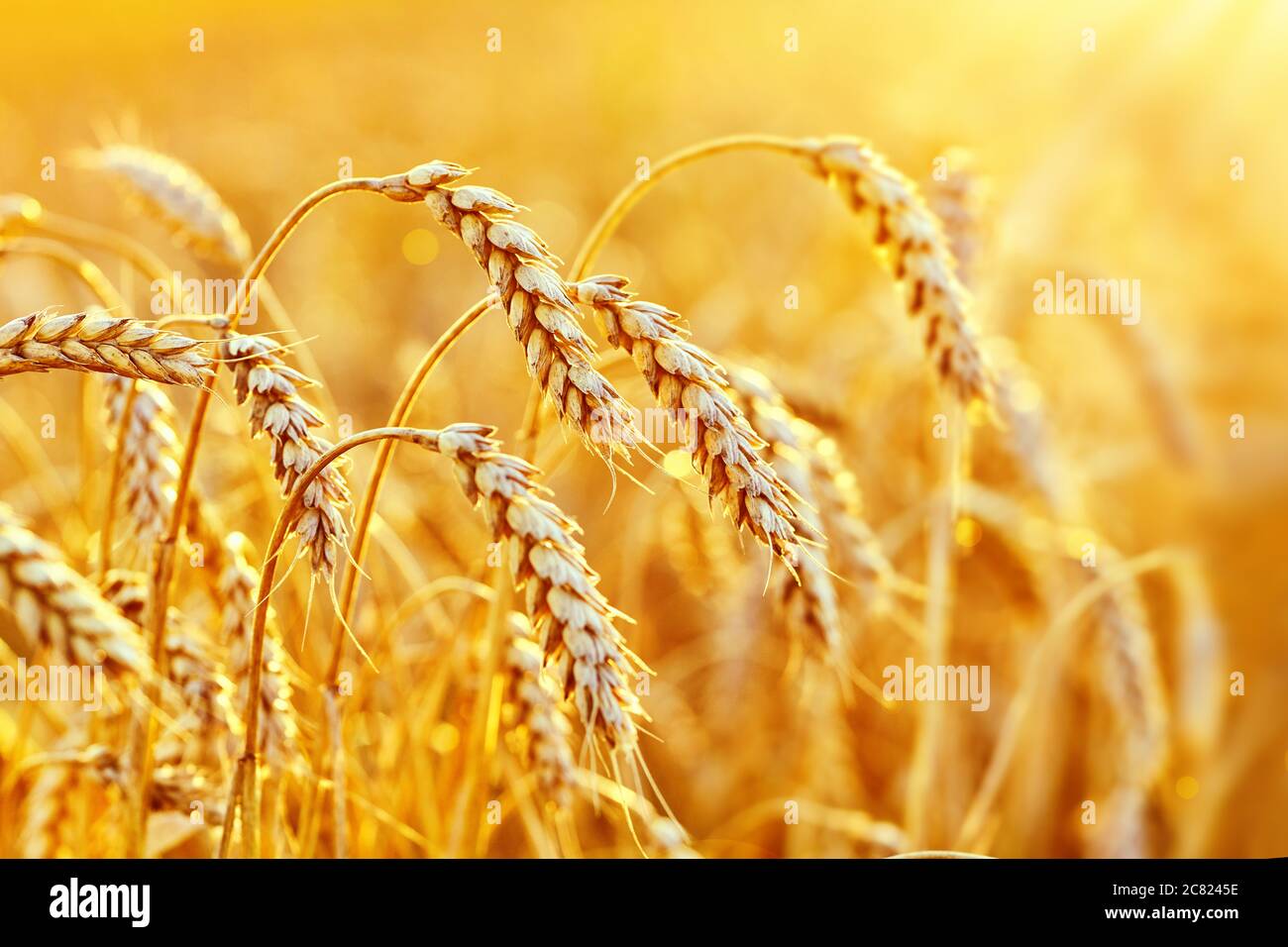 Beautiful sunset landscape hi-res stock photography and images - Alamy