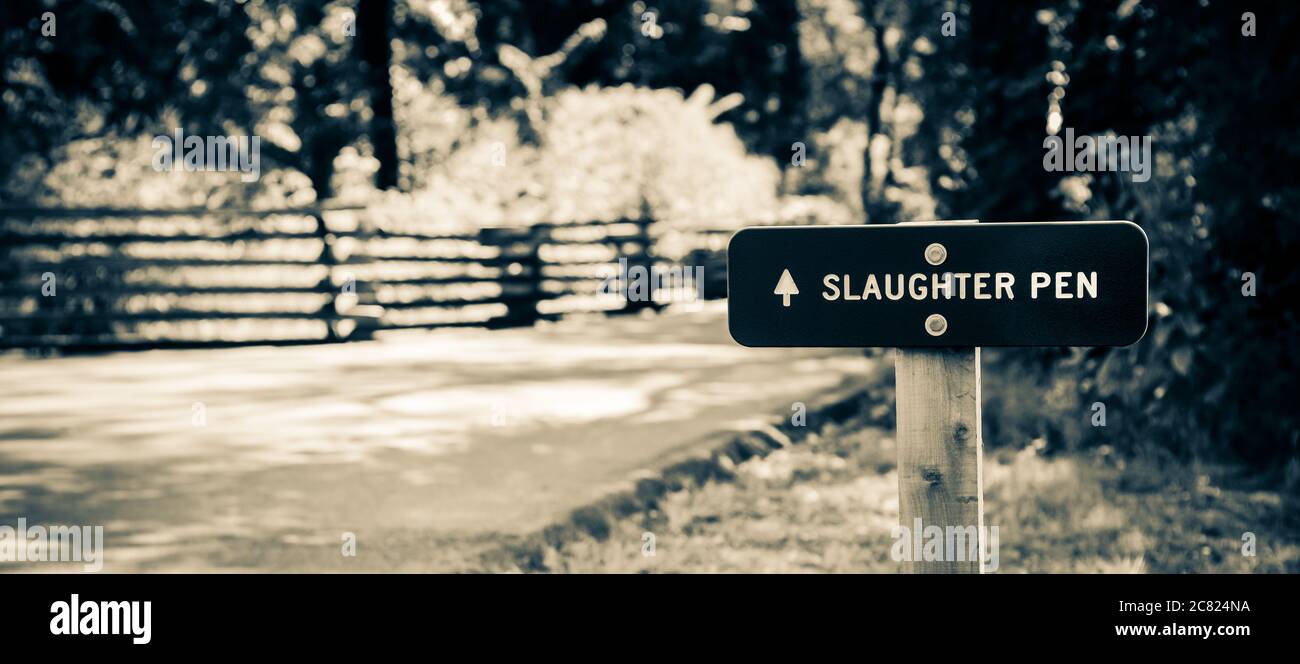 25000 casualties hi-res stock photography and images - Alamy