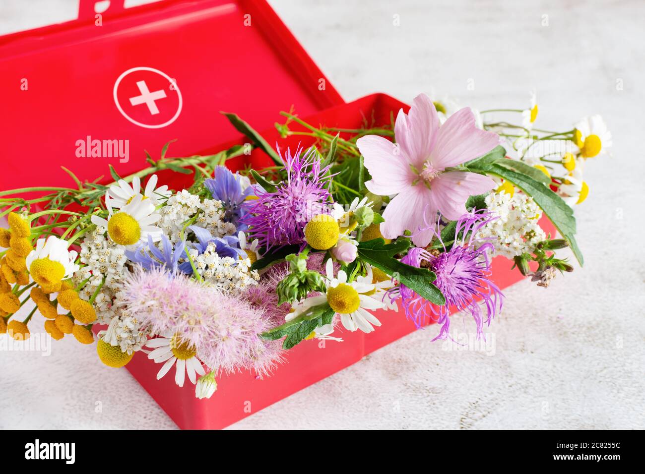 First Aid Kit Flowers Top First Aid Box Dealers In Chira Bazar