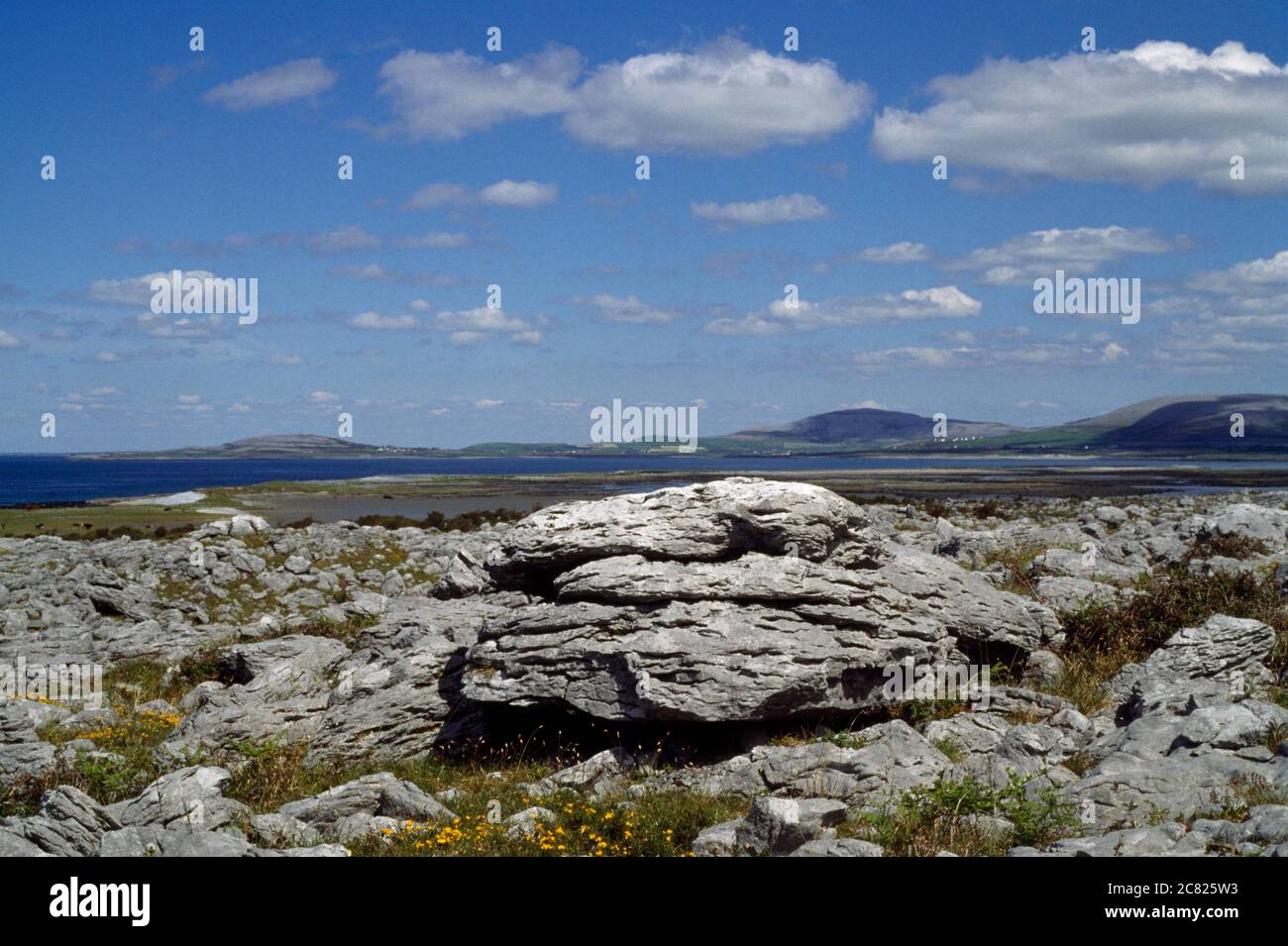 Rocky Landscape, The Burren, County Clare, Ireland Stock Photo - Alamy