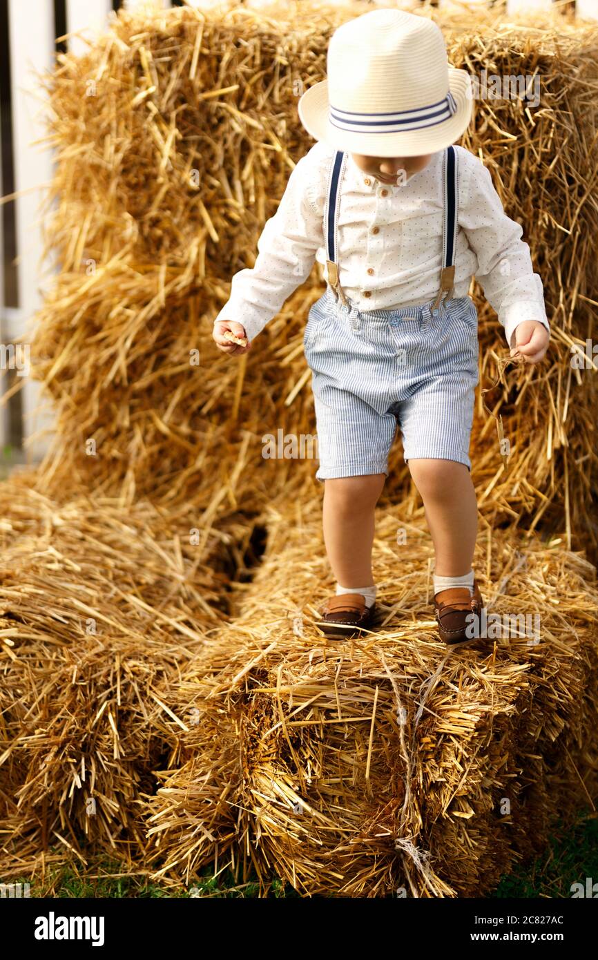 Little haystack hi-res stock photography and images - Alamy