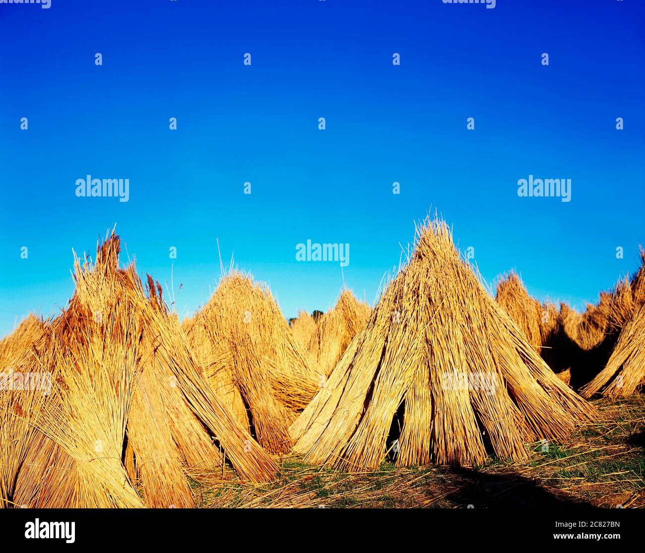 Traditional economy hi-res stock photography and images - Alamy