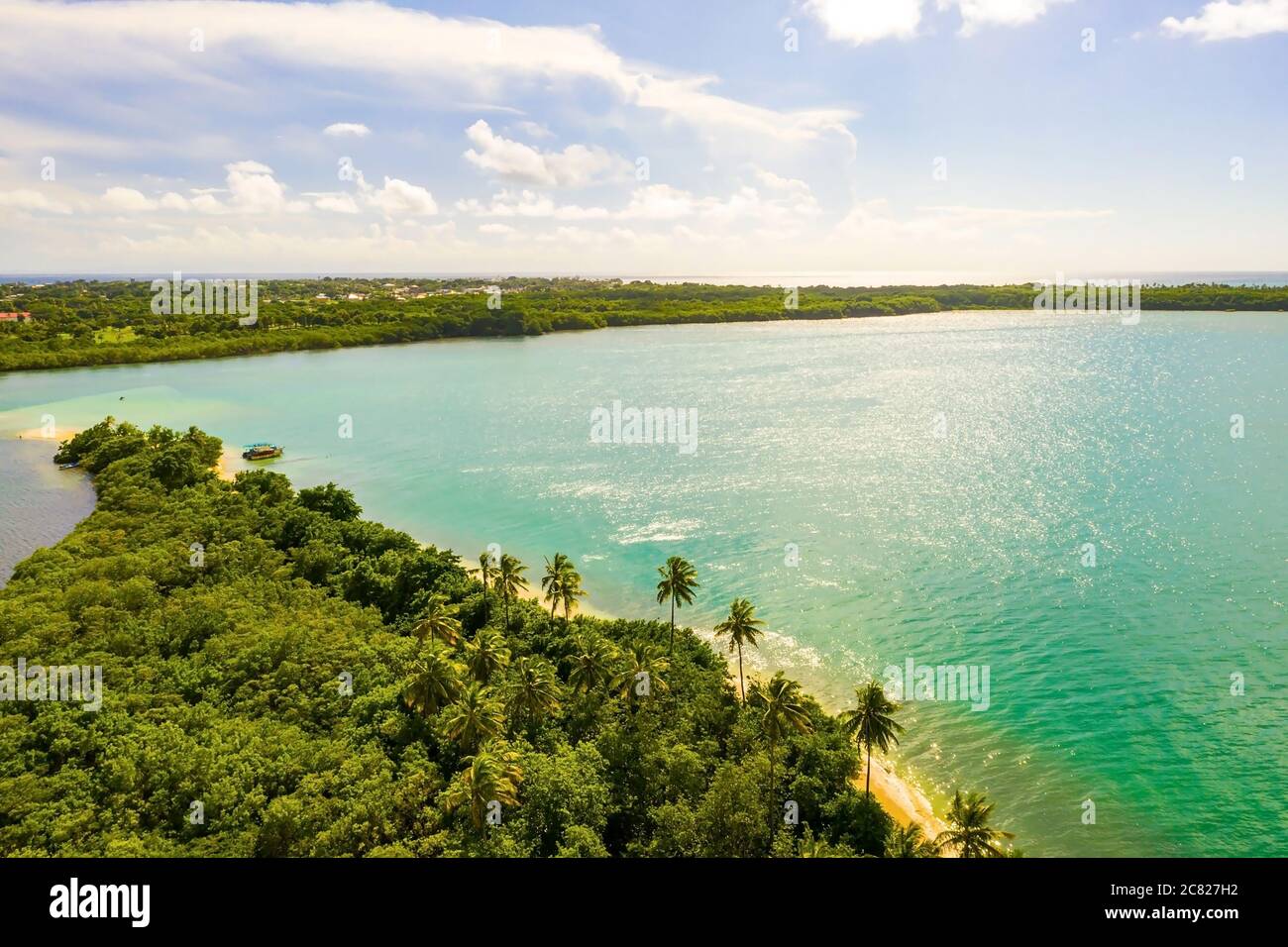 Aerial photo of a peninsula with lush nature and the calm sea in the ...