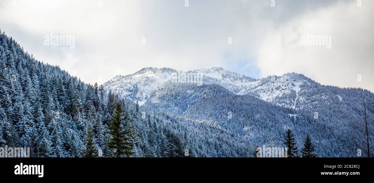 Snowy coniferous forest in the Rocky Mountains, driving the Hope ...