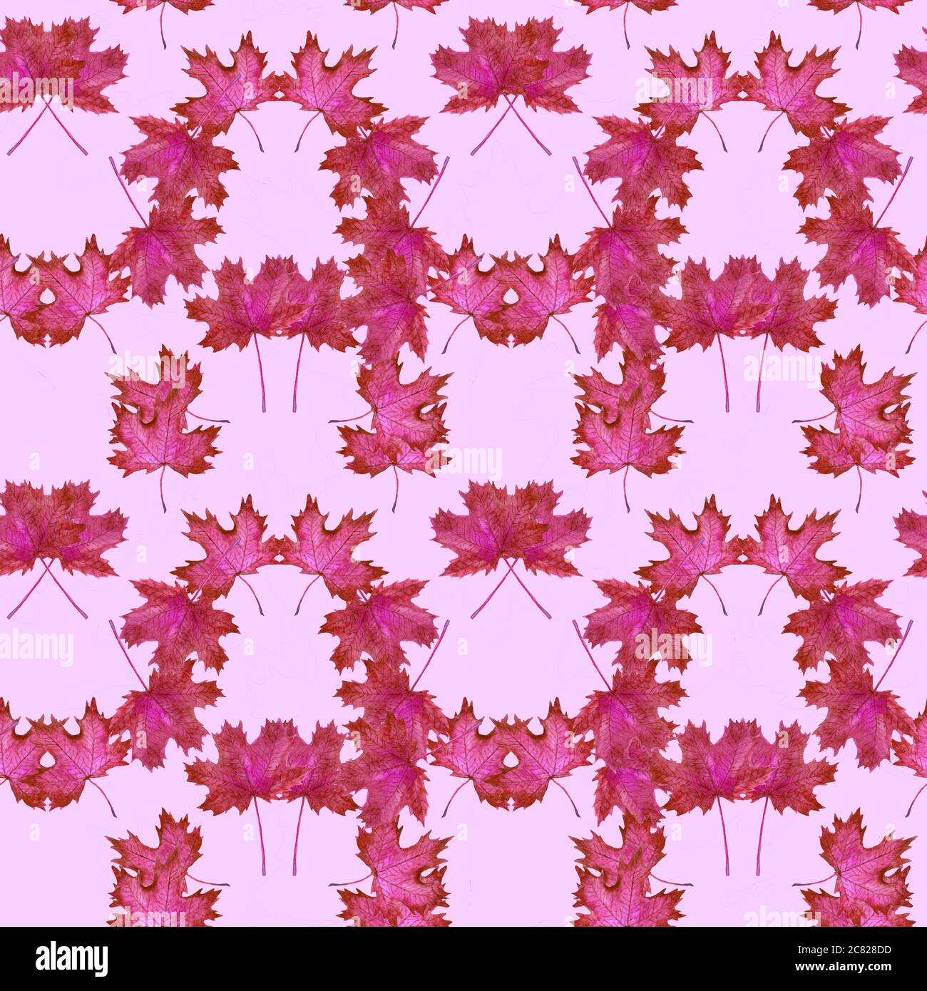Maple pink leaves, hand painted watercolor illustration seamless ...