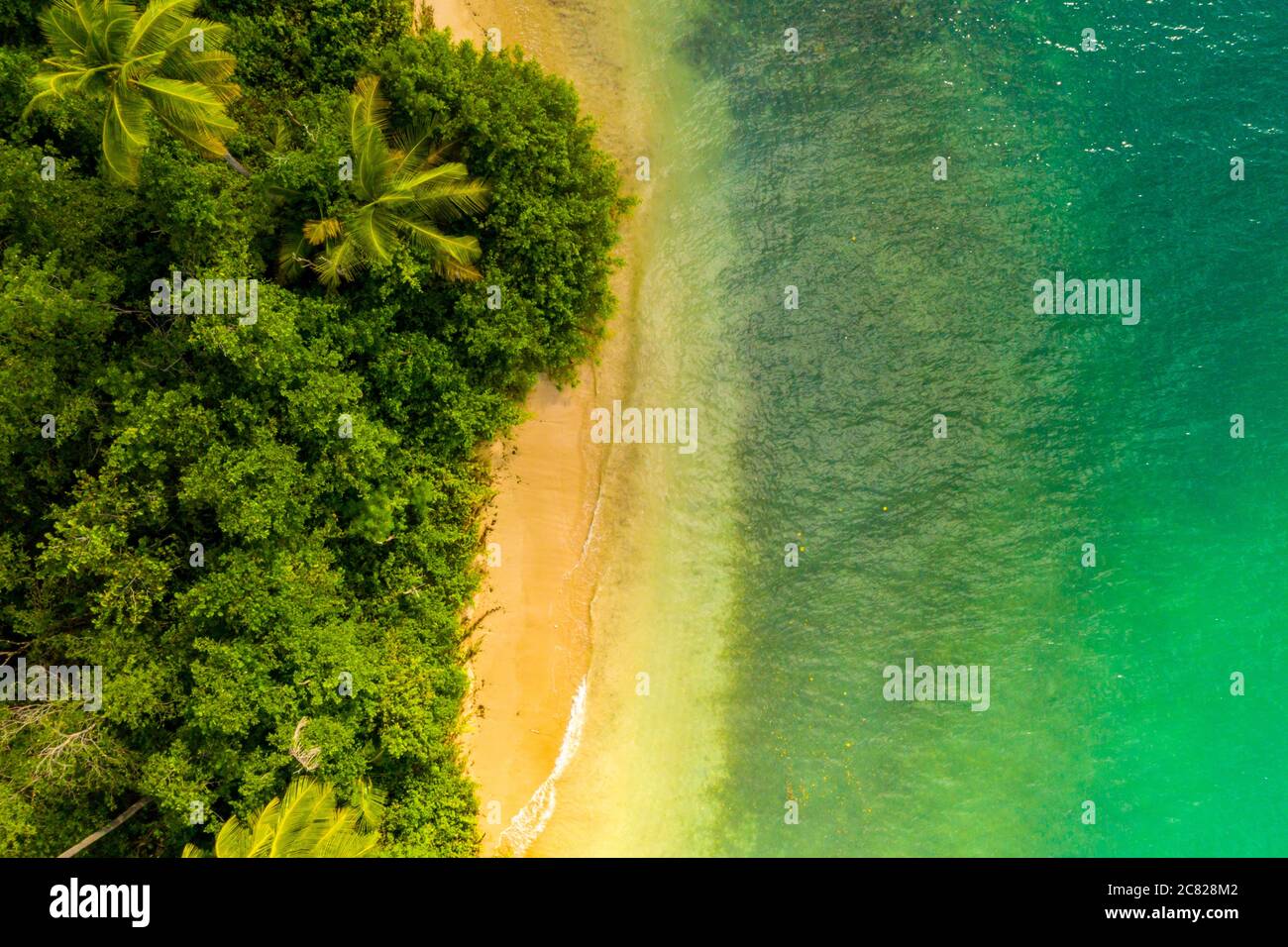 Aerial top view of a paradise Barbados beach with turquoise sea waves ...