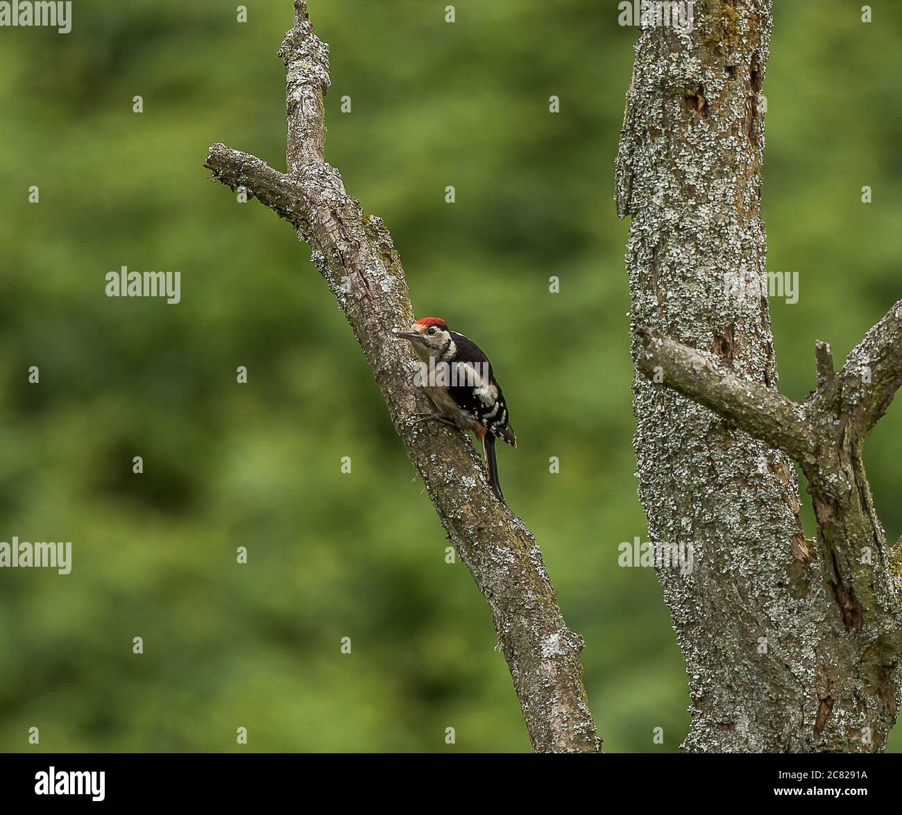 Gavin pike hi-res stock photography and images - Alamy