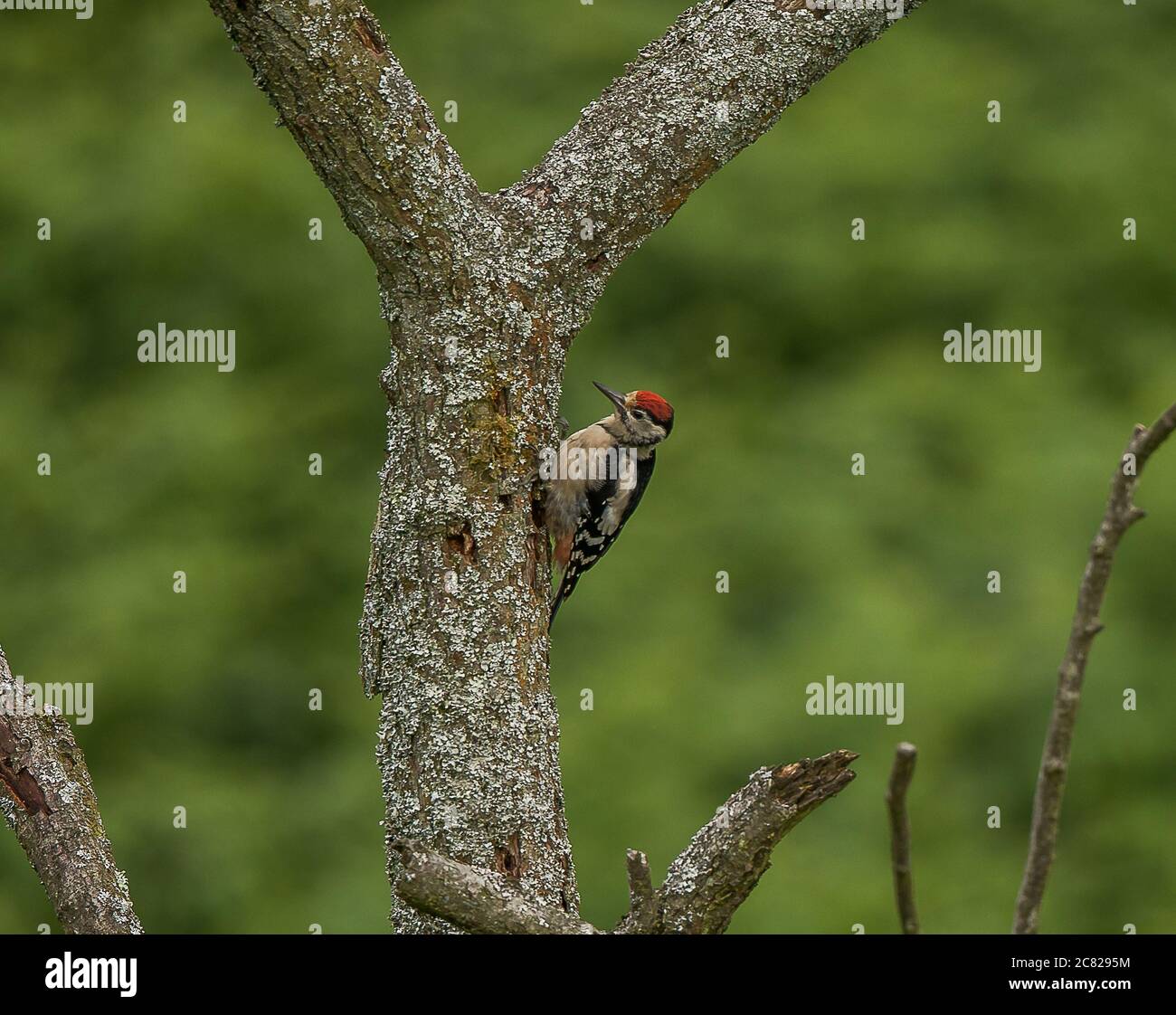 Gavin pike hi-res stock photography and images - Alamy