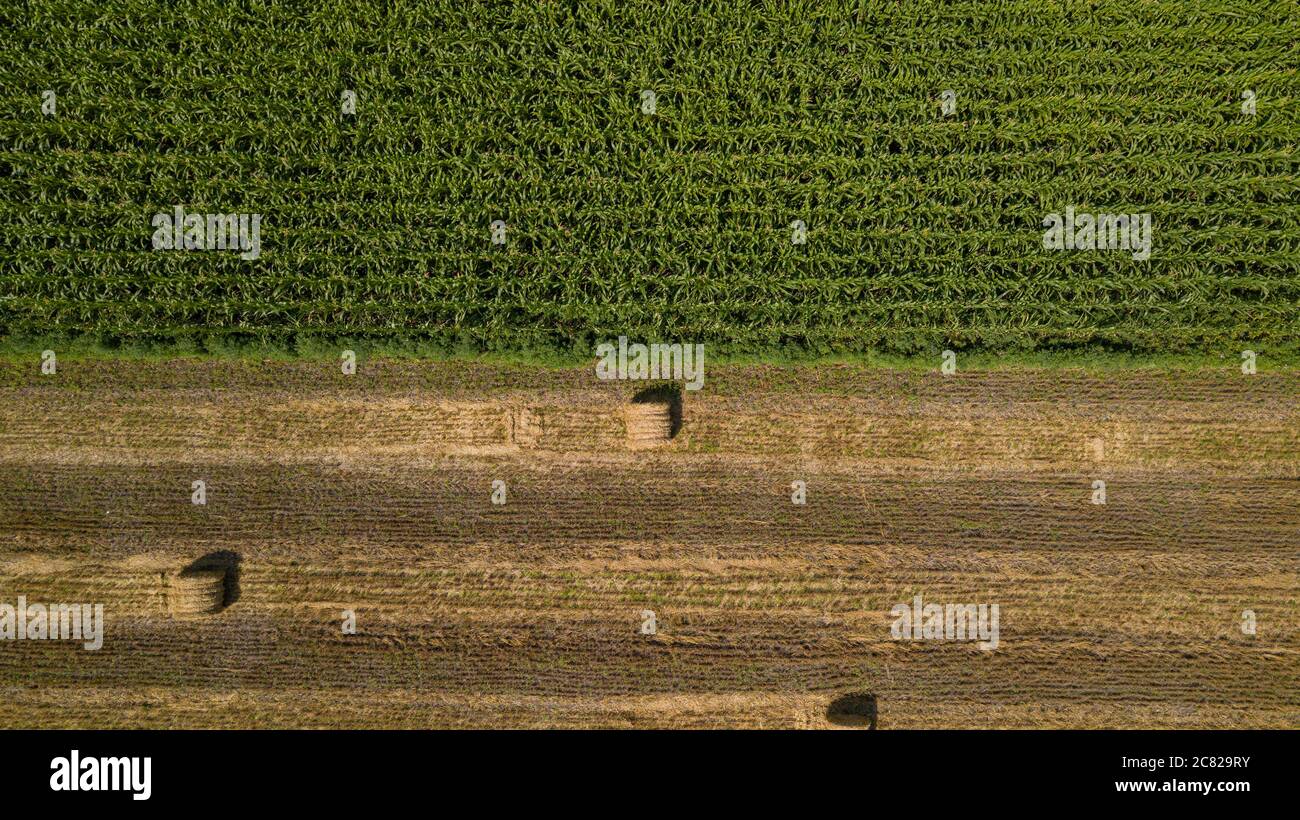 Aerial view golden haystacks hi-res stock photography and images - Alamy