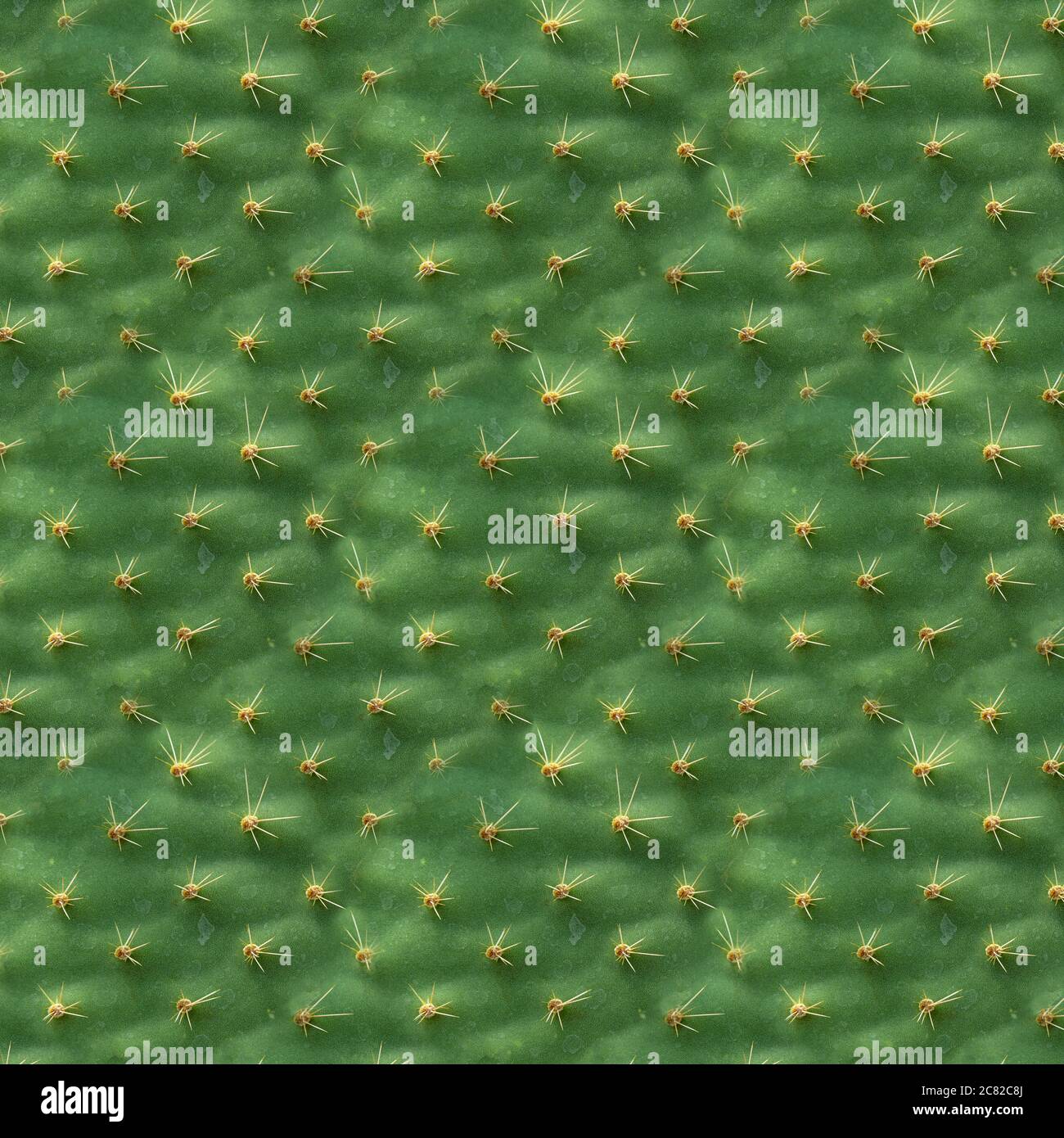 Seamless texture. Cactus leaf structure as background or wallpaper ...