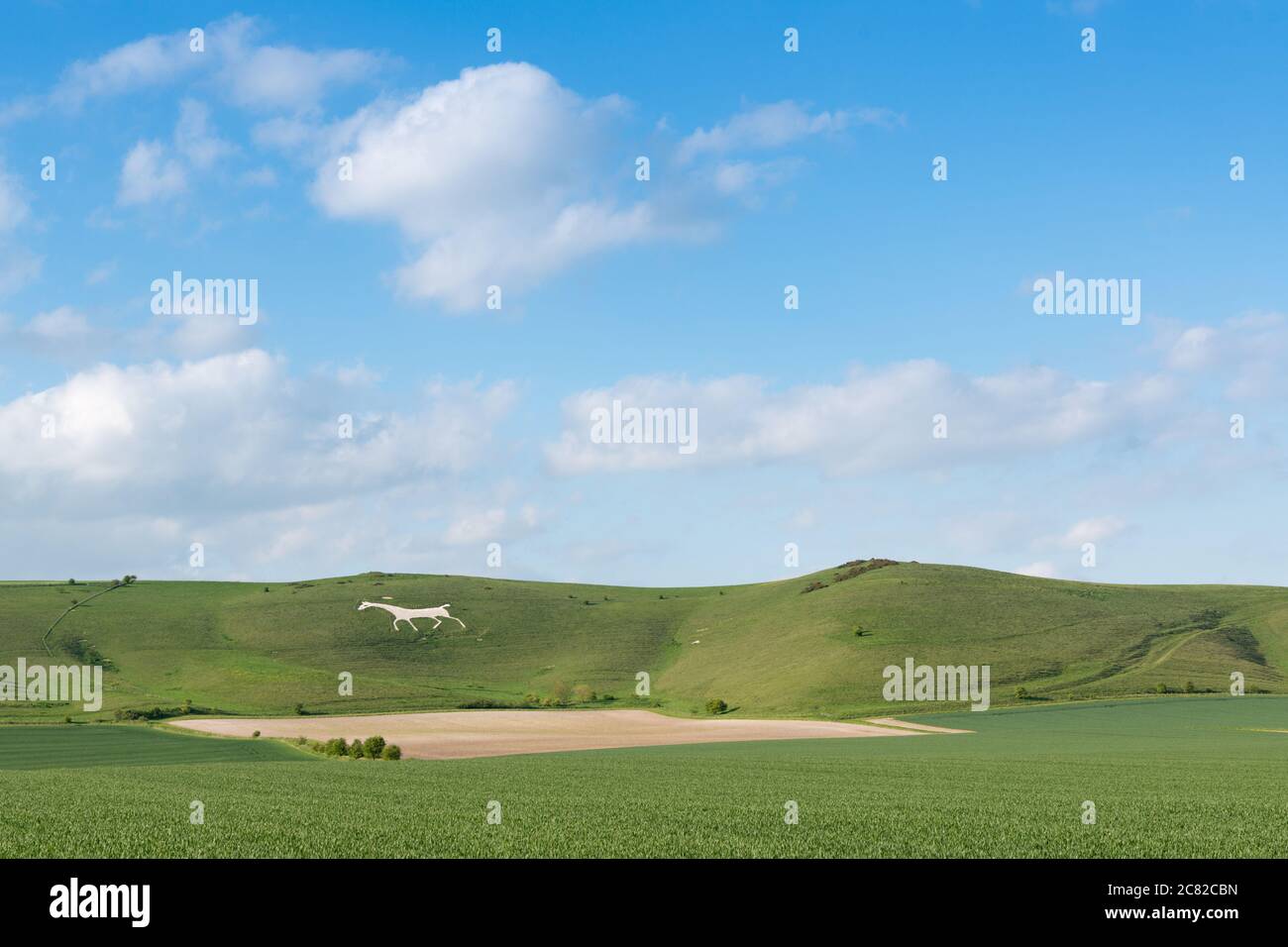 Alton Barnes White Horse near Honey Street in Wiltshire, England, UK ...