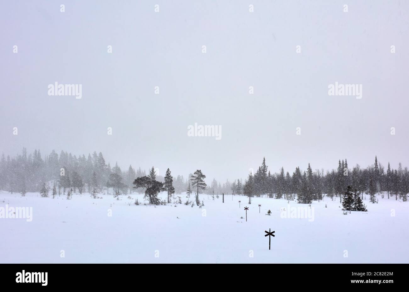 Jamtland and snowing hi-res stock photography and images - Alamy