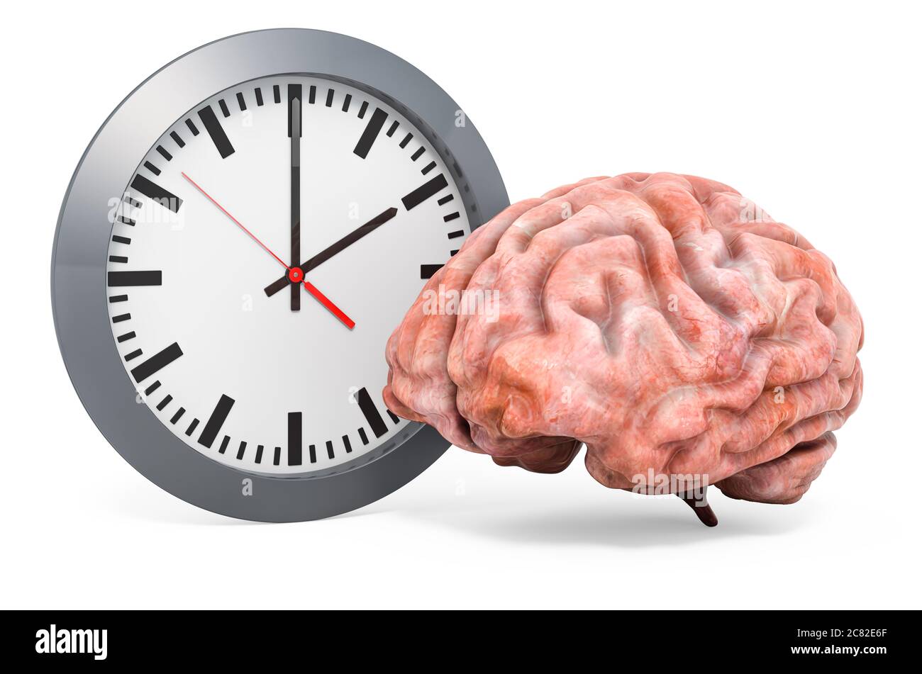 Human brain with wall clock, 3D rendering isolated on white background ...