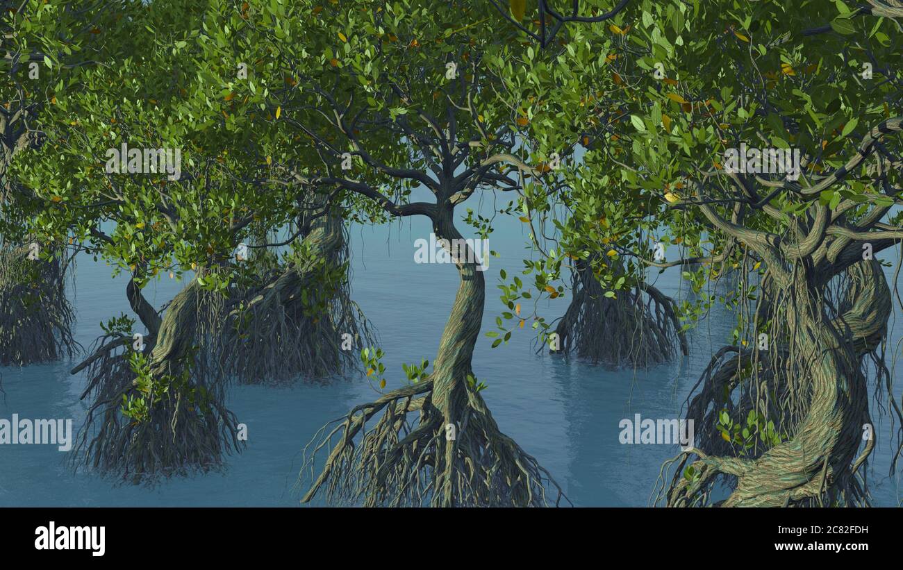 Red mangroves on Florida coast 3d rendering Stock Photo - Alamy