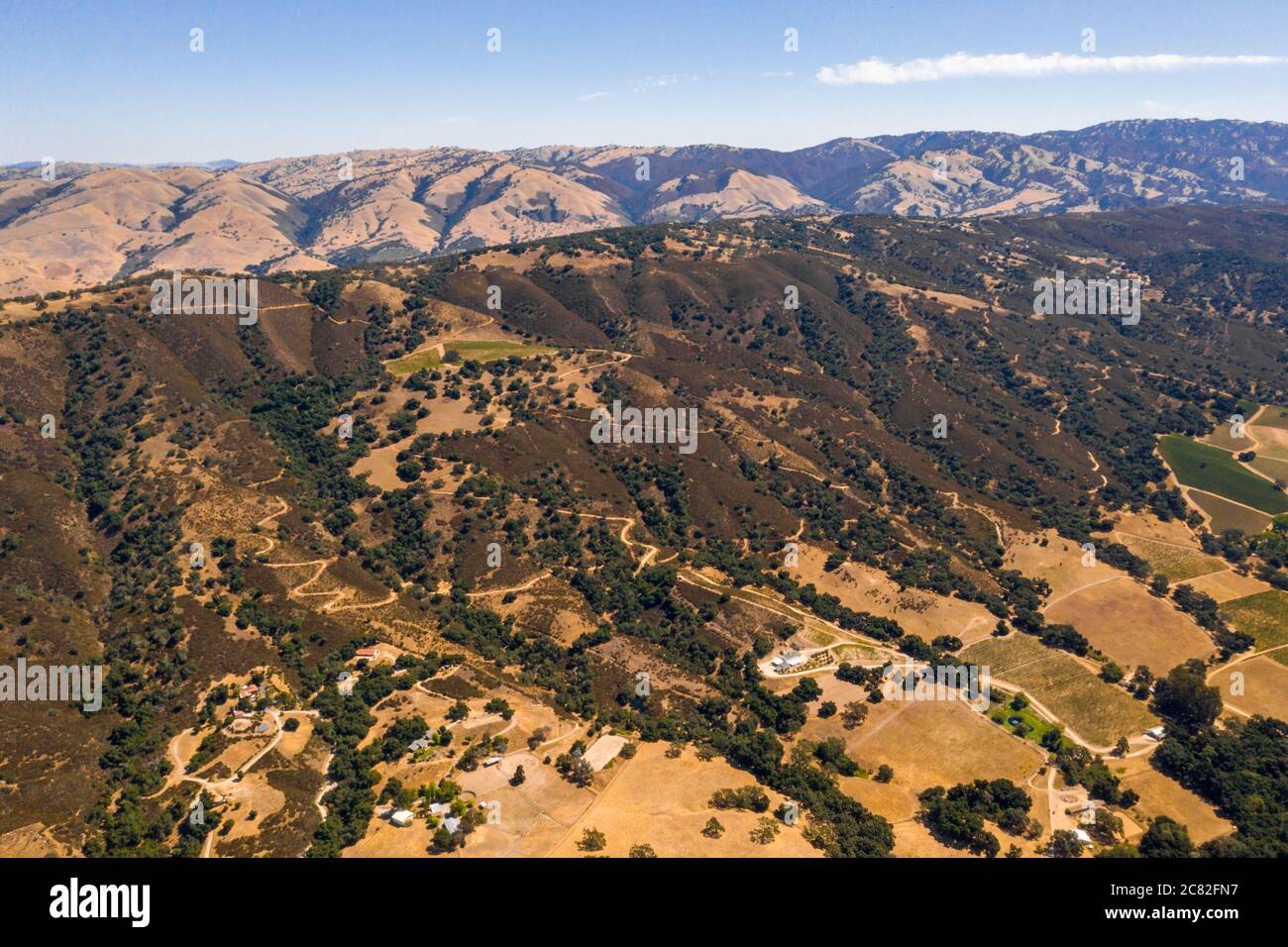 California oak tree in mustard hi-res stock photography and images - Alamy