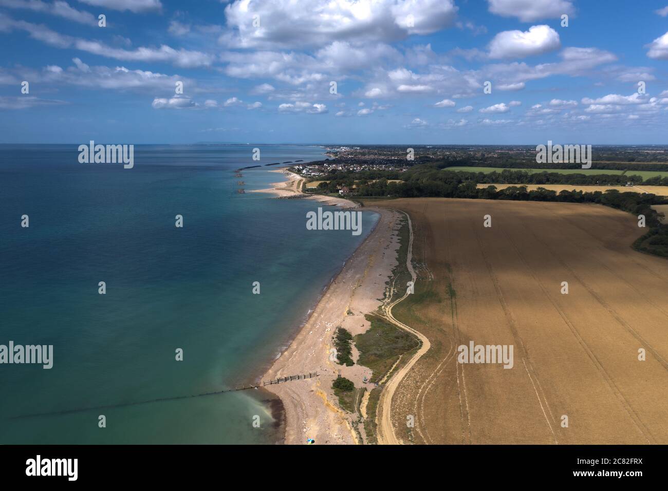 Elmer Beach's Instagram, Twitter & Facebook on IDCrawl