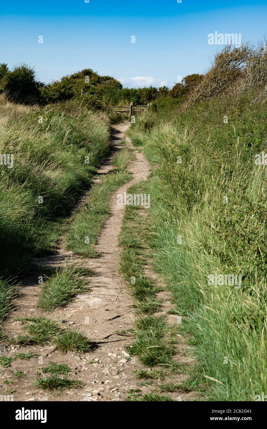 Ancient footpath, Seven Sisters, East Sussex, UK Stock Photo - Alamy