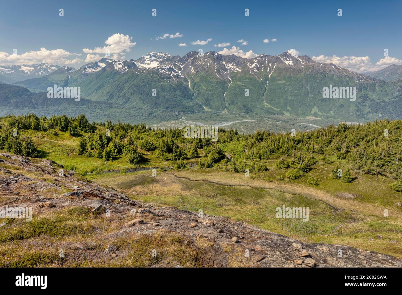 Alpine meadow overlooking Placer River Valley in Chugach National ...