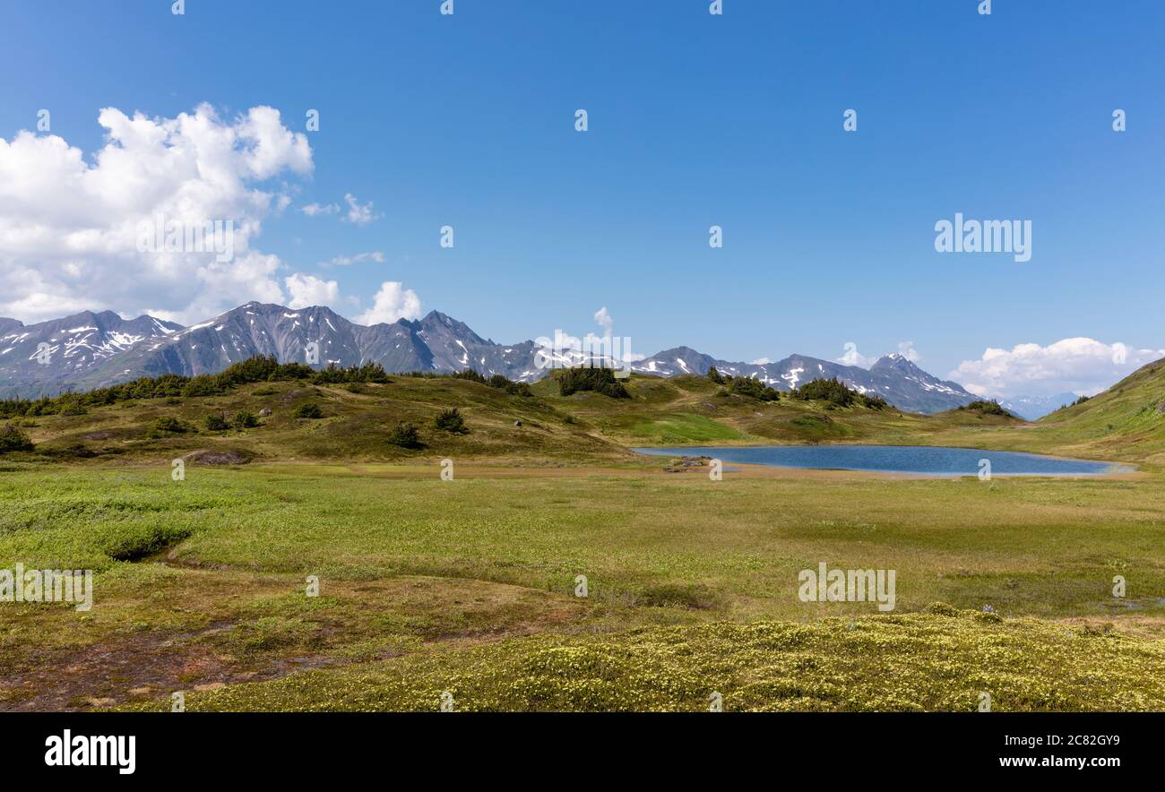 Alpine meadow and tarn at Spencer Bench in the Chugach National Forest ...